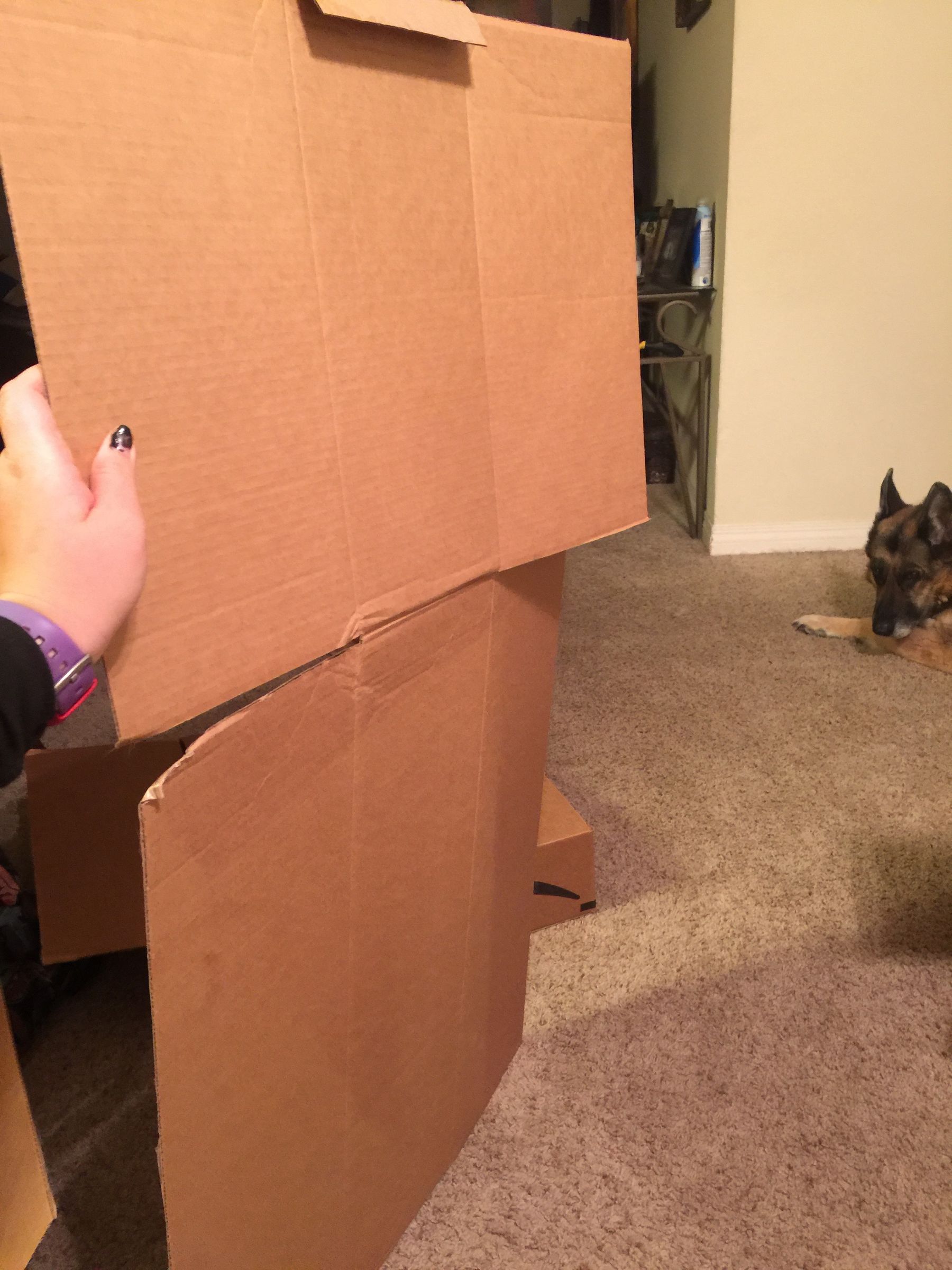 S.S Orca ( Cardboard Boat) : 11 Steps - Instructables