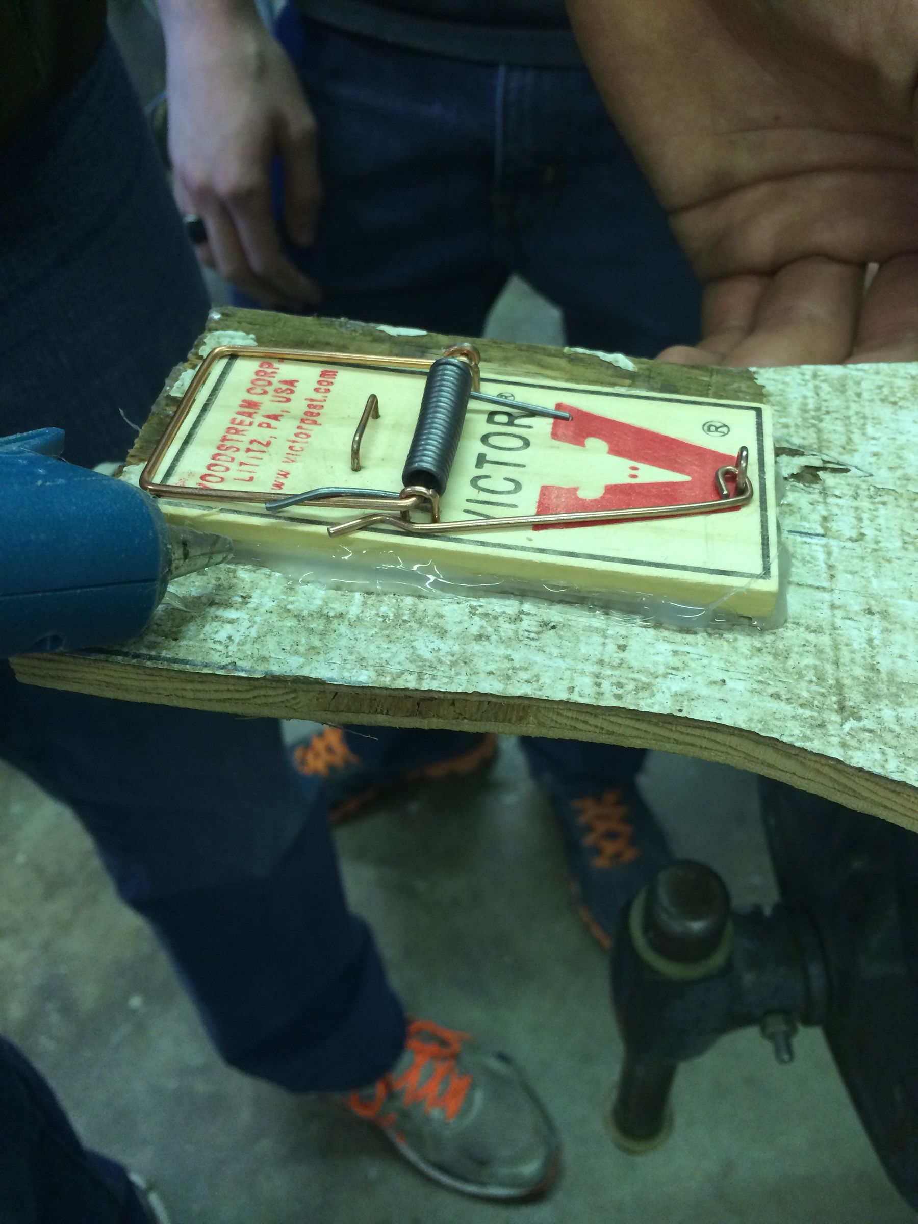How to Build a Mouse Trap Car : 12 Steps - Instructables