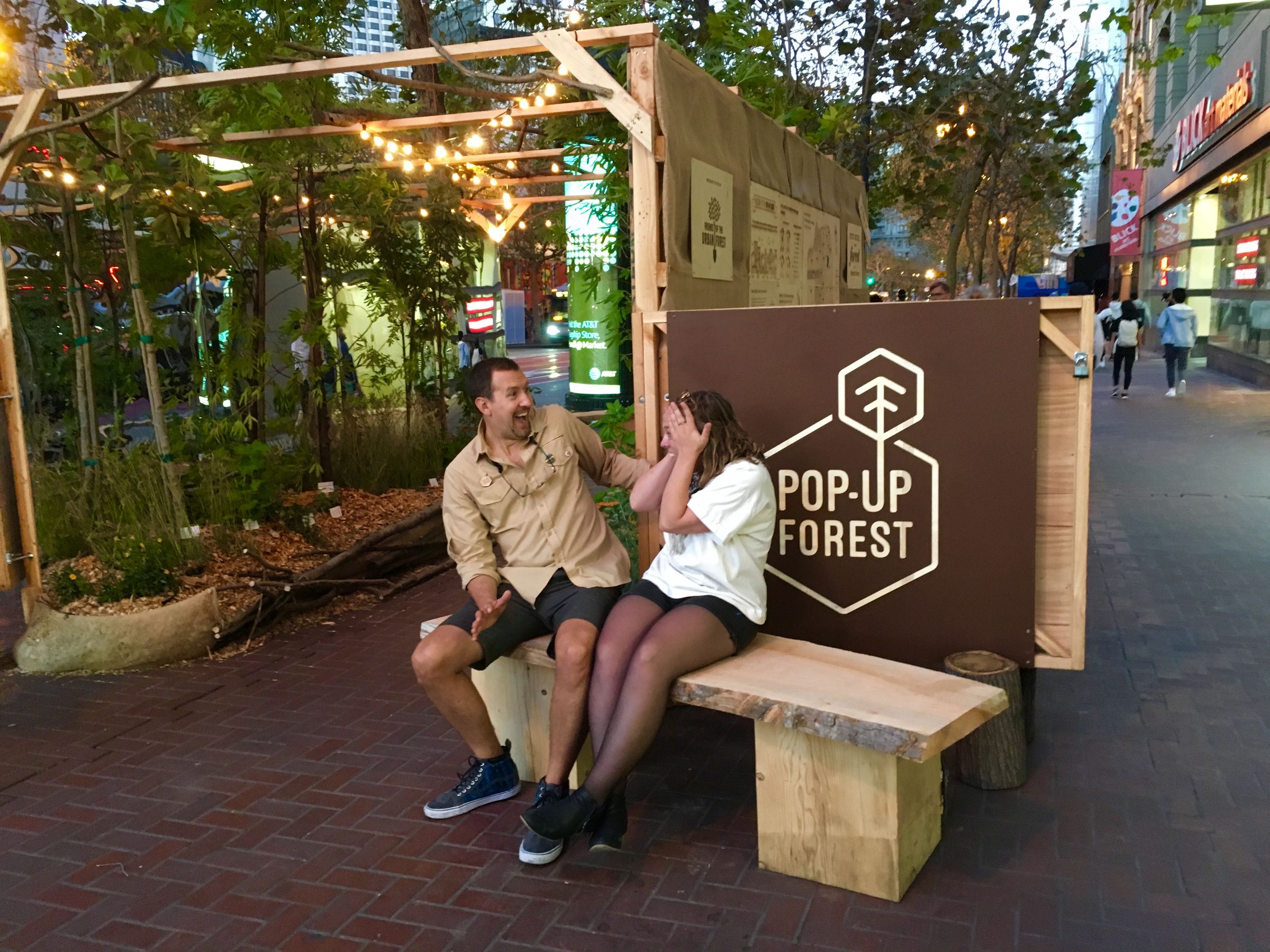 How to Create a Pop-Up Forest! : 6 Steps (with Pictures) - Instructables