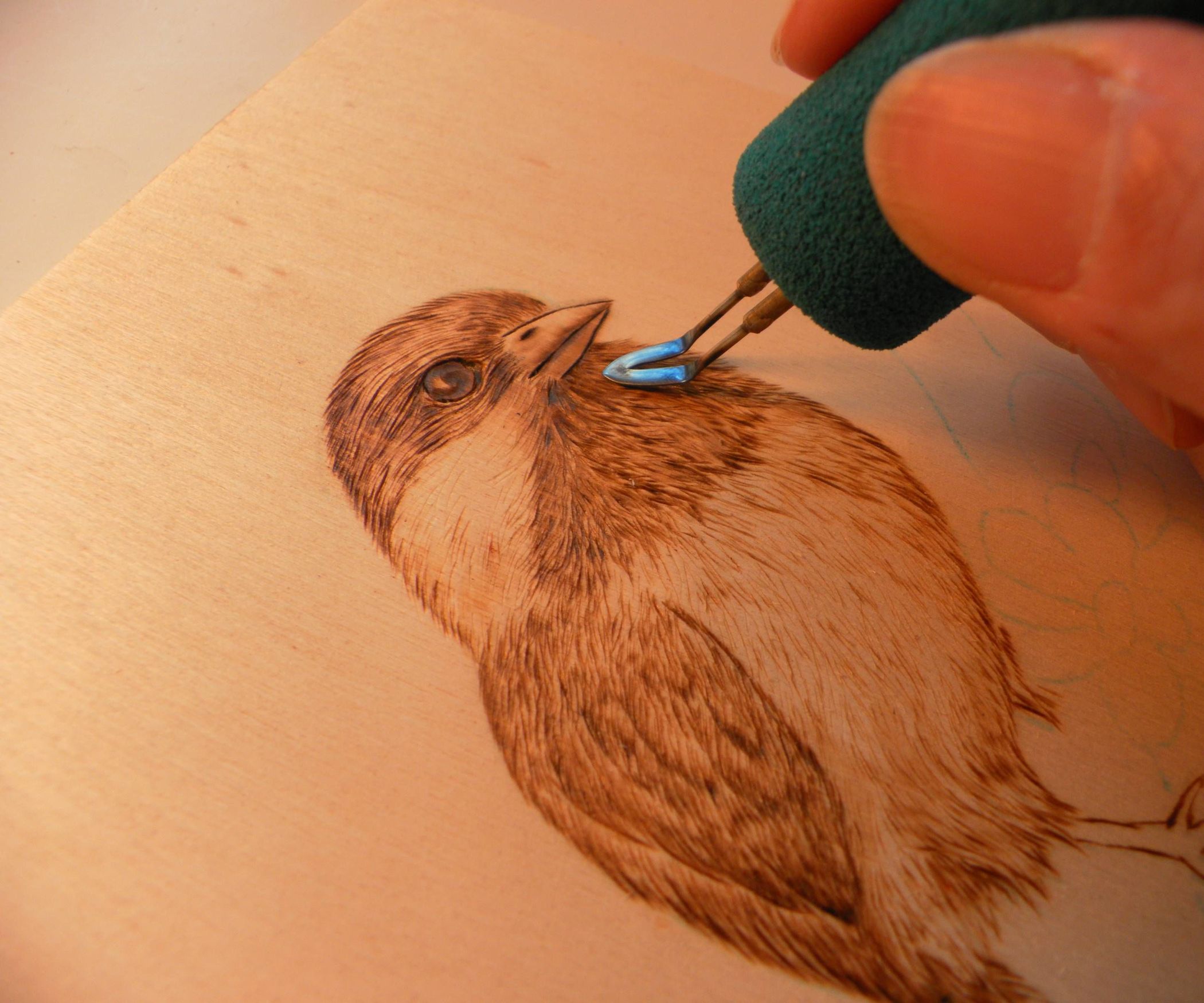 Pyrography: Making Burning Easy - Instructables