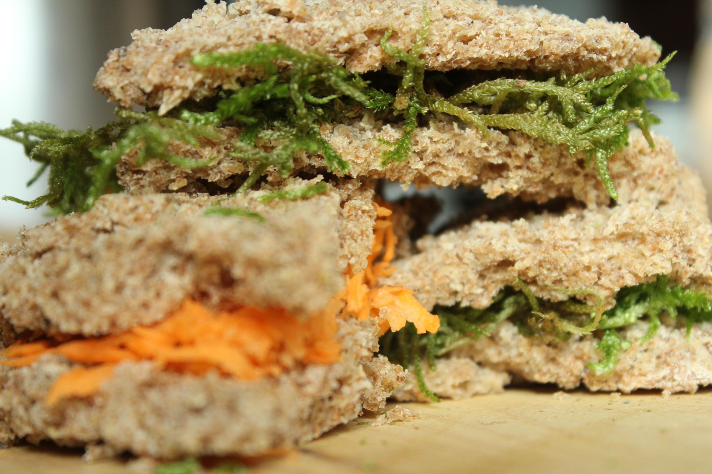 Perfectly Horrid Halloween Pain Surprise - Creepy Crawly Mealworm ...