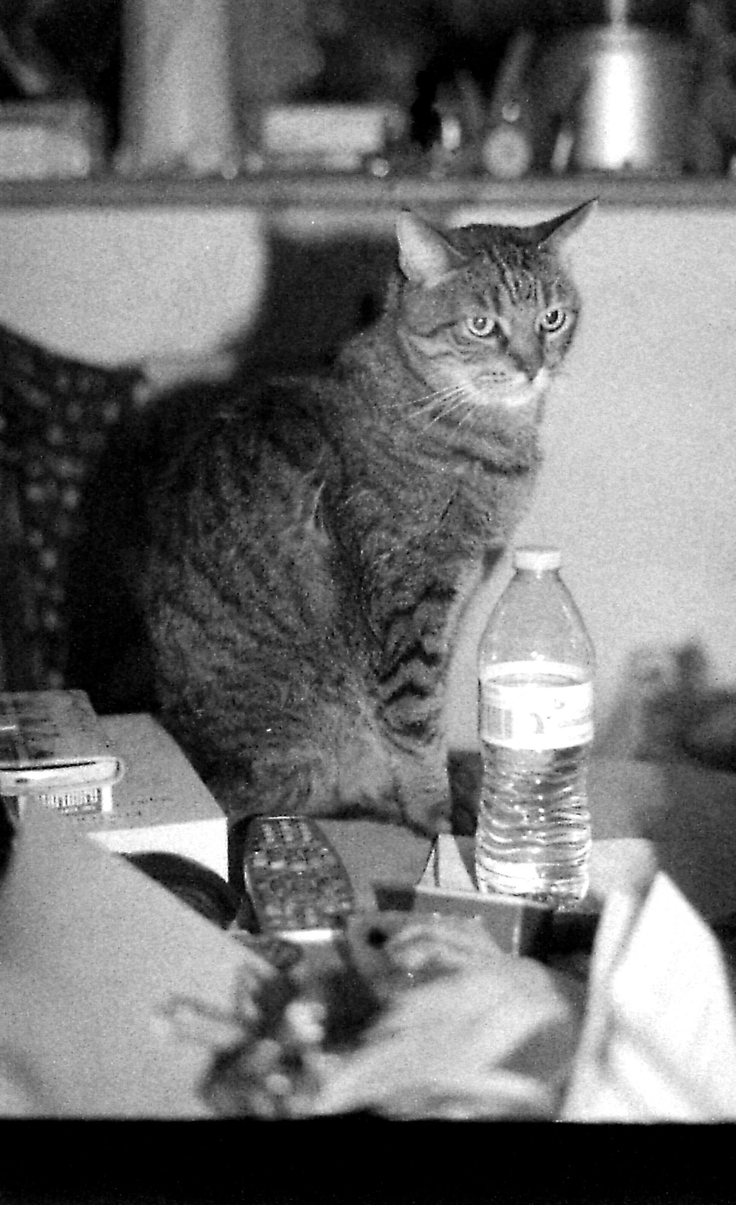 How to Develop VERY Old Film and Get Good Results : 12 Steps (with ...