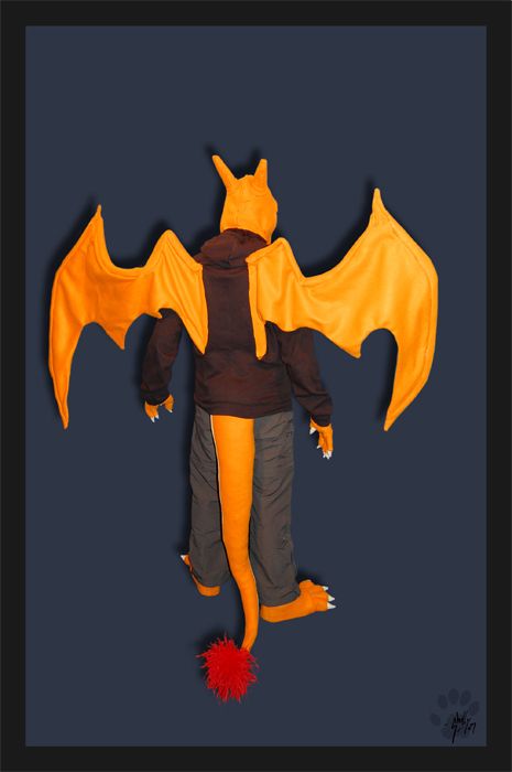 Shiny Charizard Costume