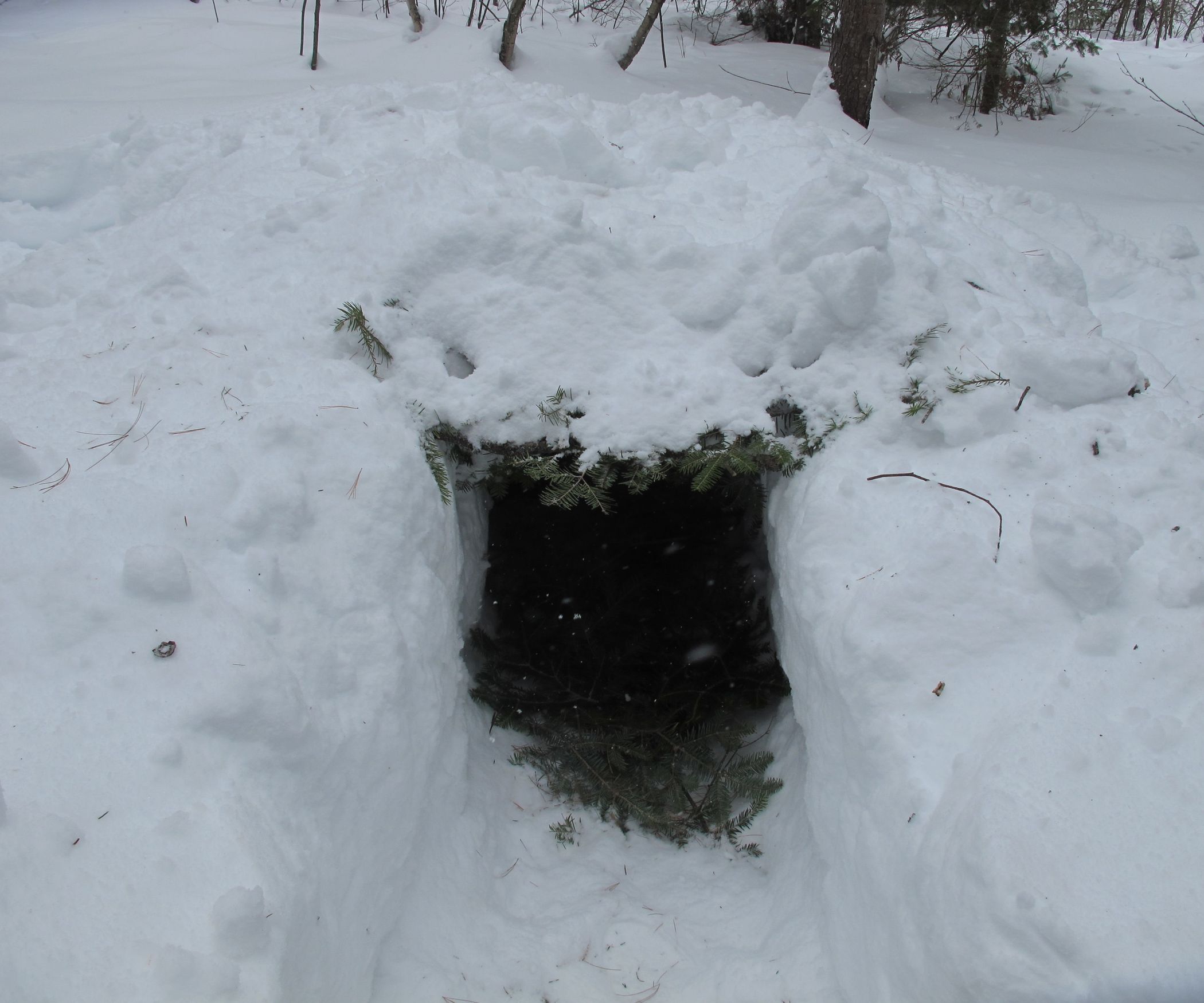 Trench Shelter : 7 Steps - Instructables