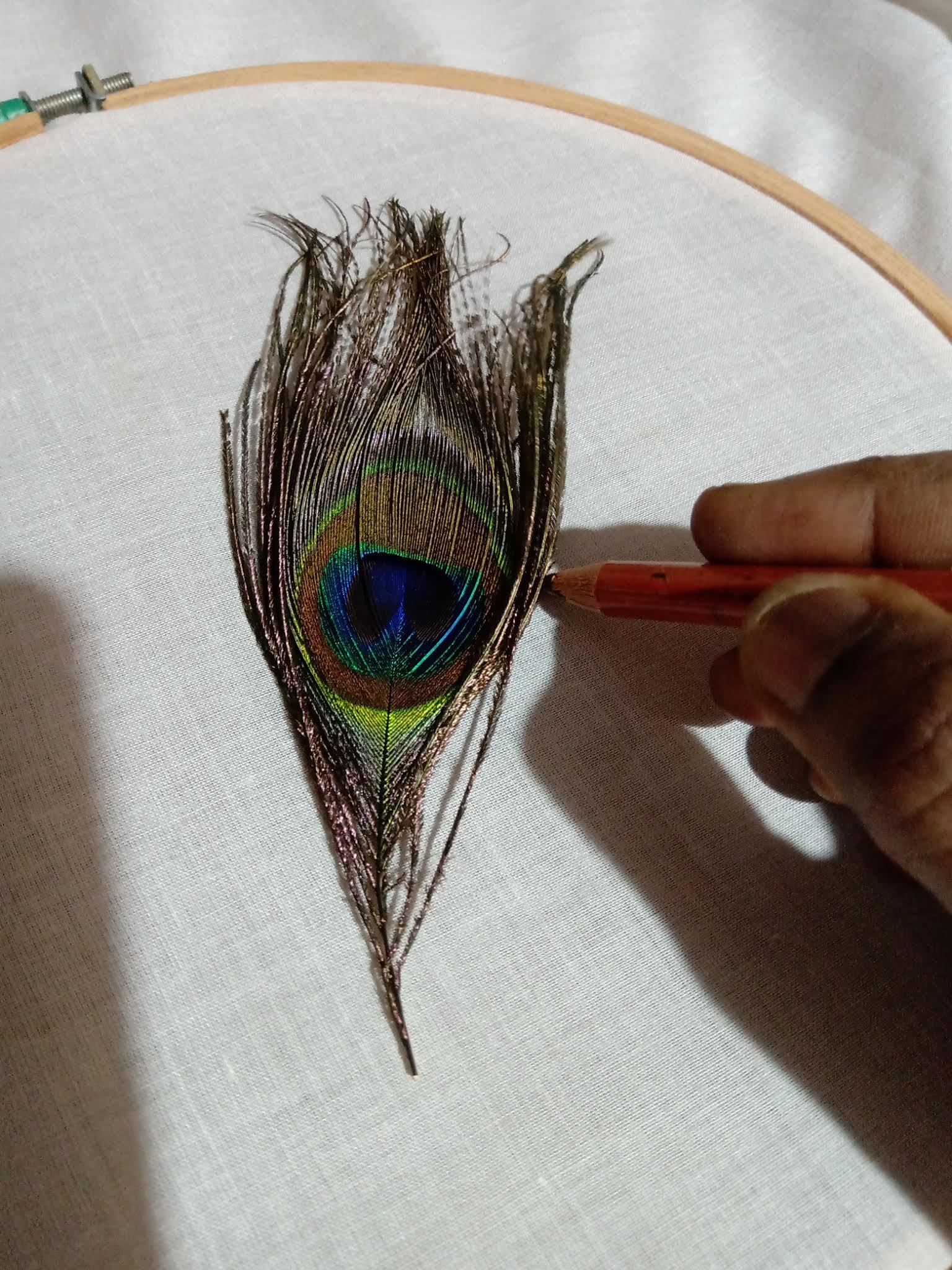 Peacock Feather Fabric Painting