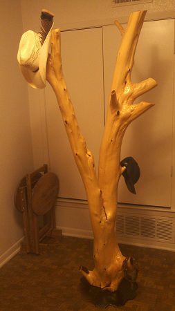 Cedar Tree Coat Rack : 3 Steps (with Pictures) - Instructables