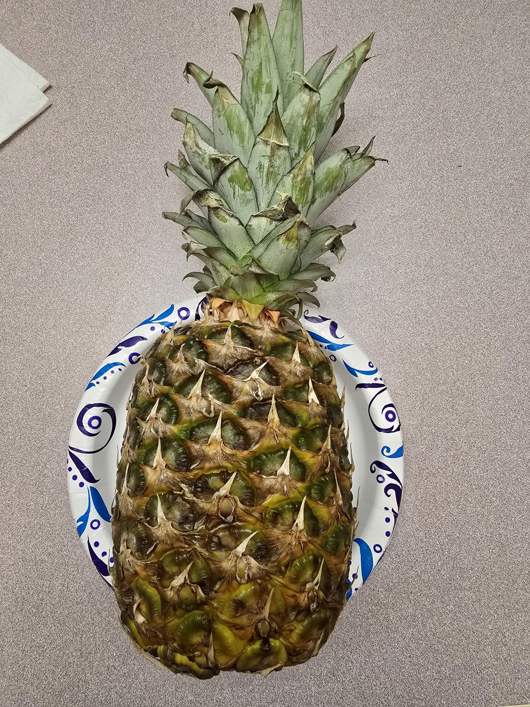 Pineapple-Mango Smoothie : 9 Steps - Instructables