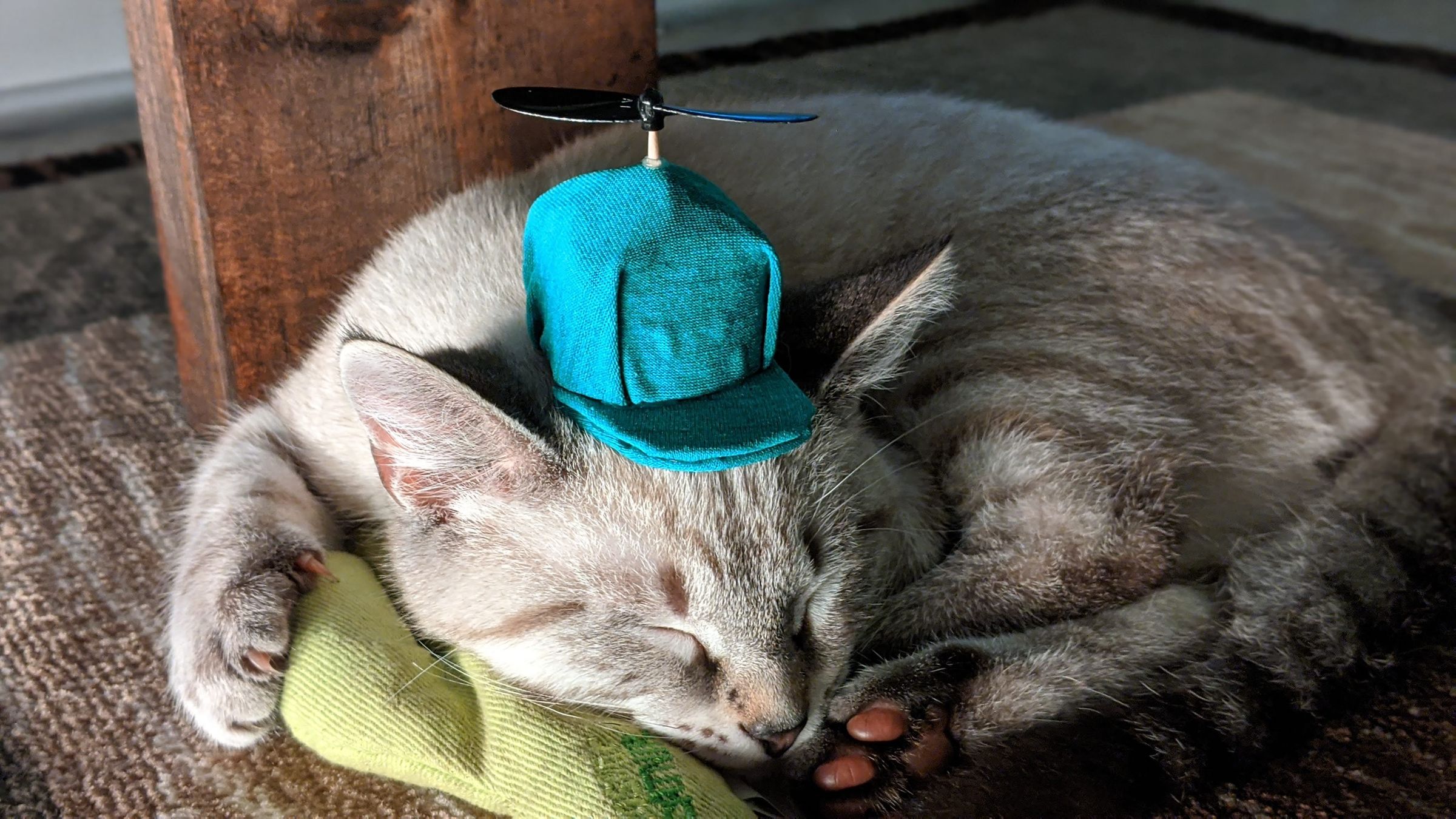 Tiny Hats : 18 Steps (with Pictures) - Instructables