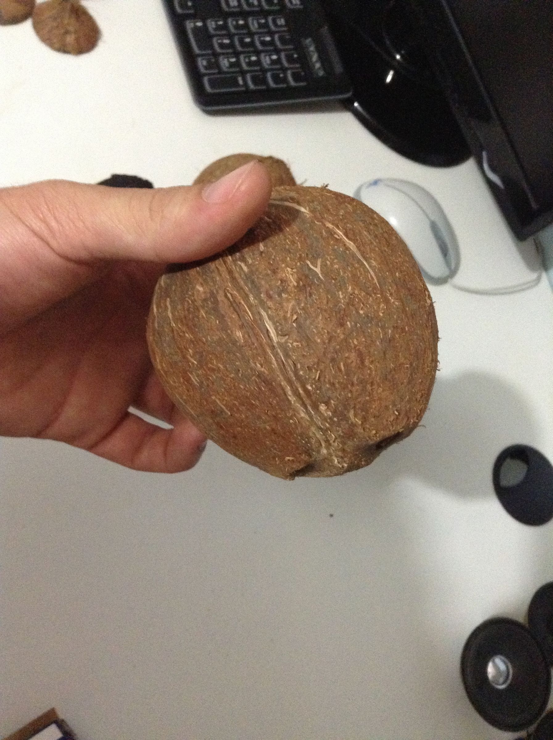 Coconut Speaker. : 4 Steps (with Pictures) - Instructables