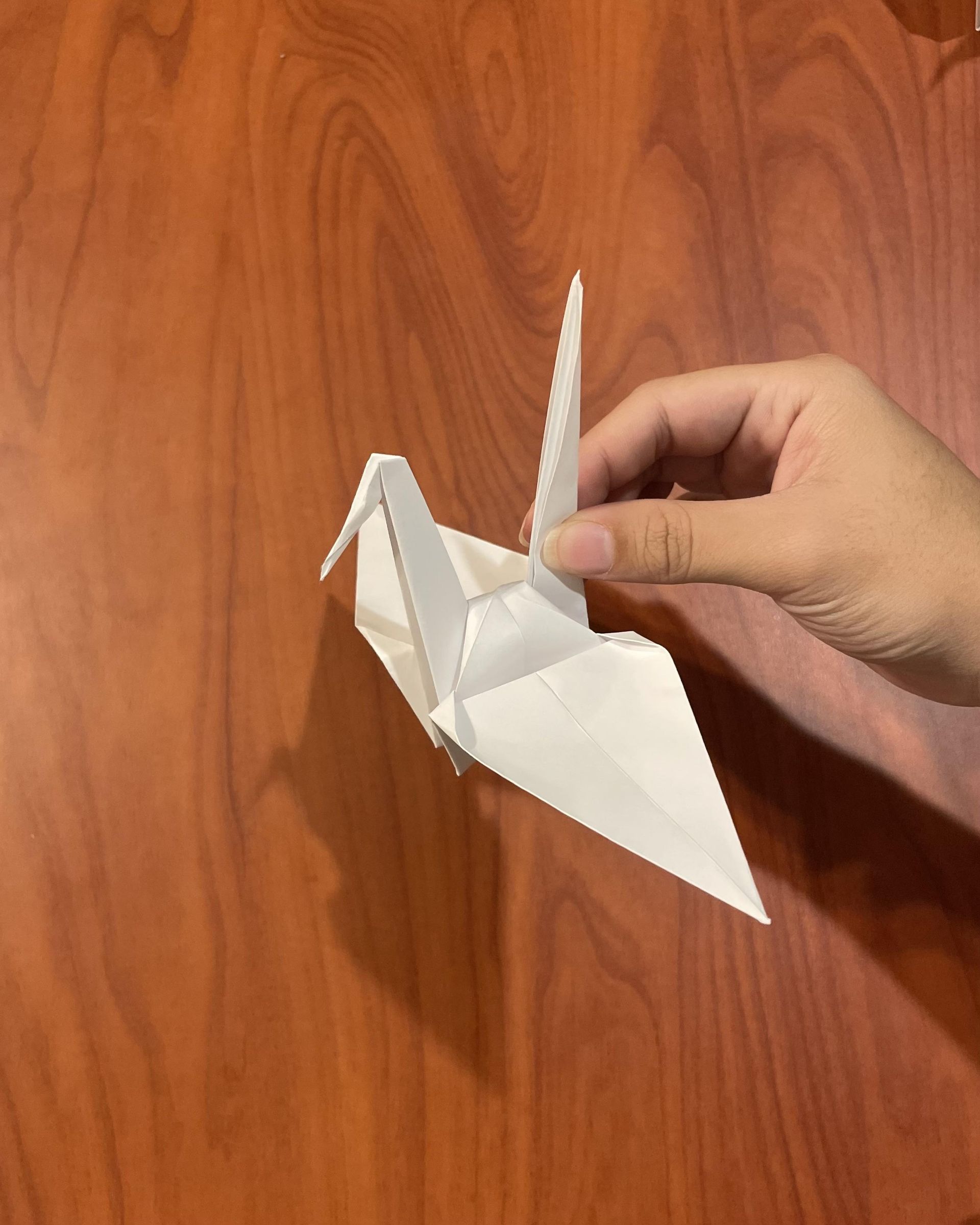 Origami Cranes : 19 Steps (with Pictures) - Instructables