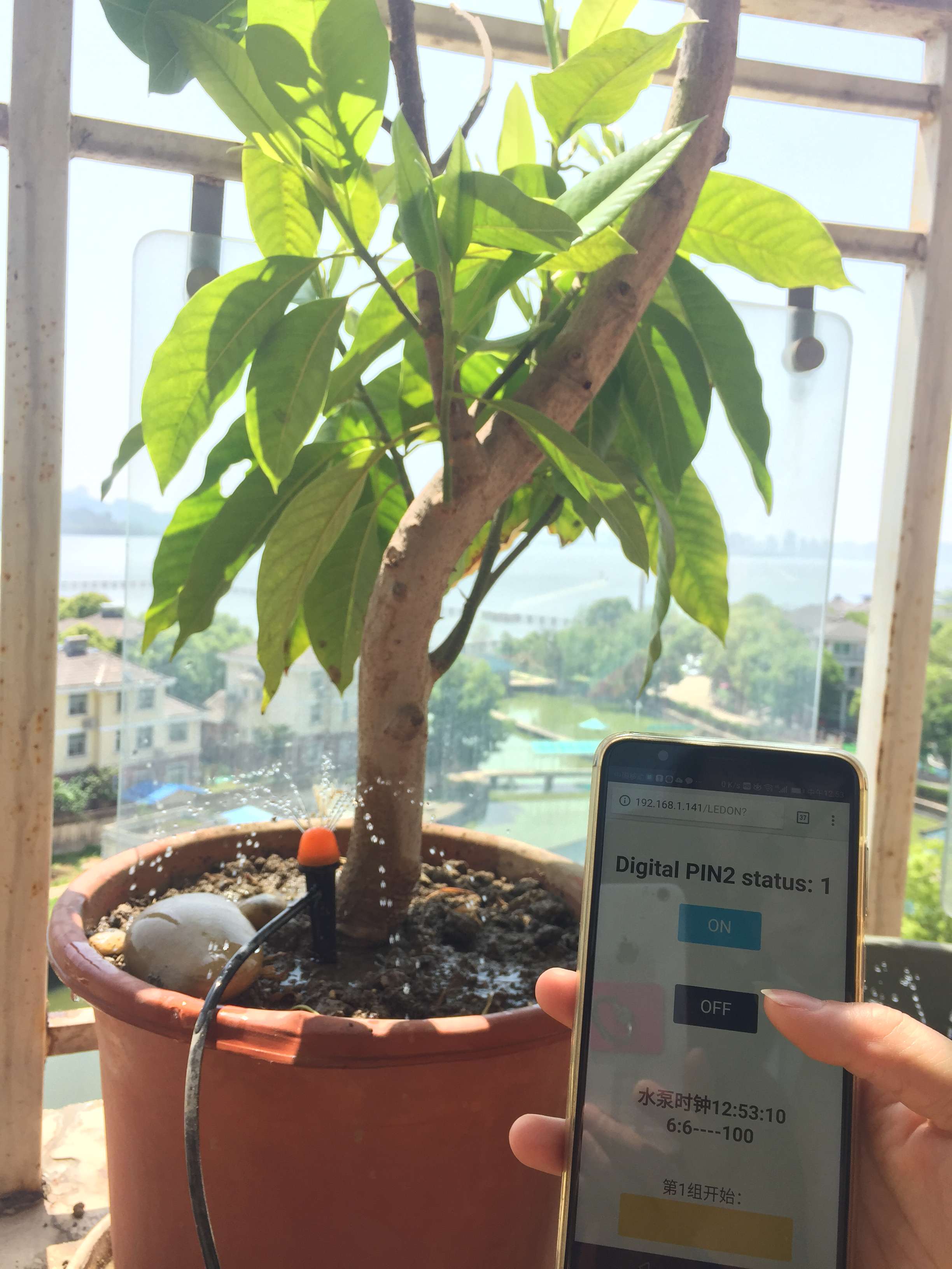 DIY Wireless Automatic Plant Watering System Without Internet Access ...
