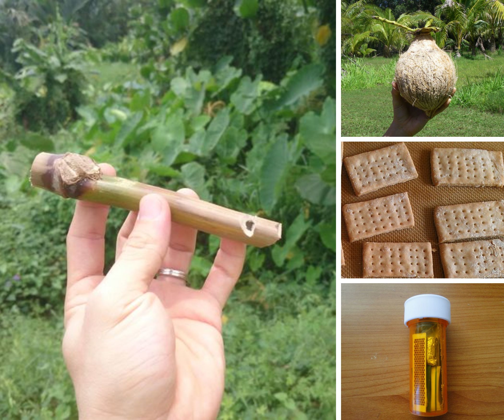 Survival - Instructables