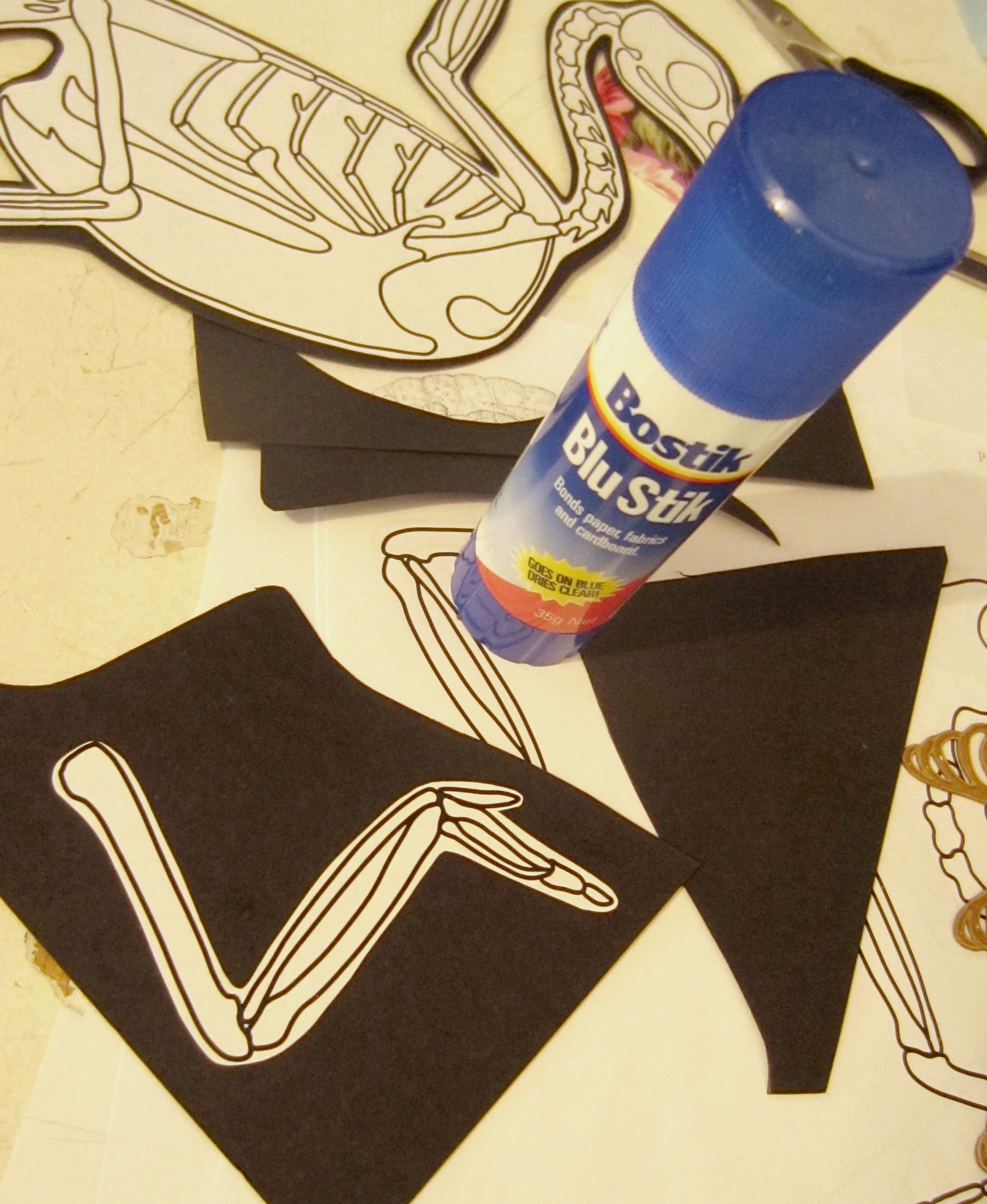 Chicken Skeleton Paper Puppet (with Pictures) - Instructables