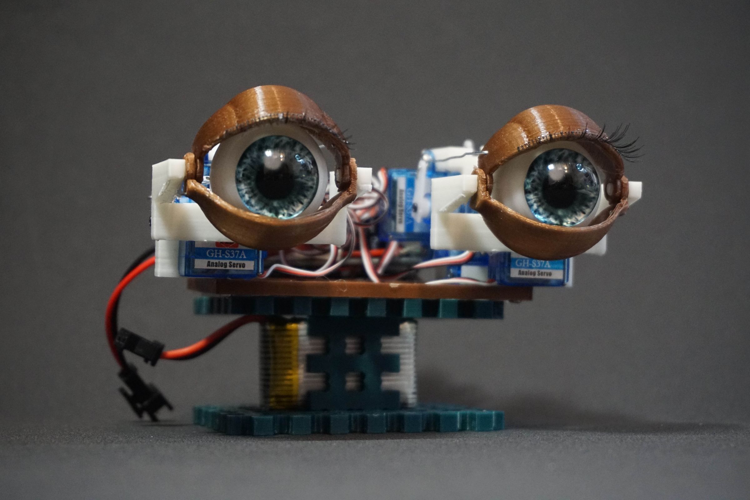 Animatronic Eyes With Remote Control : 5 Steps - Instructables