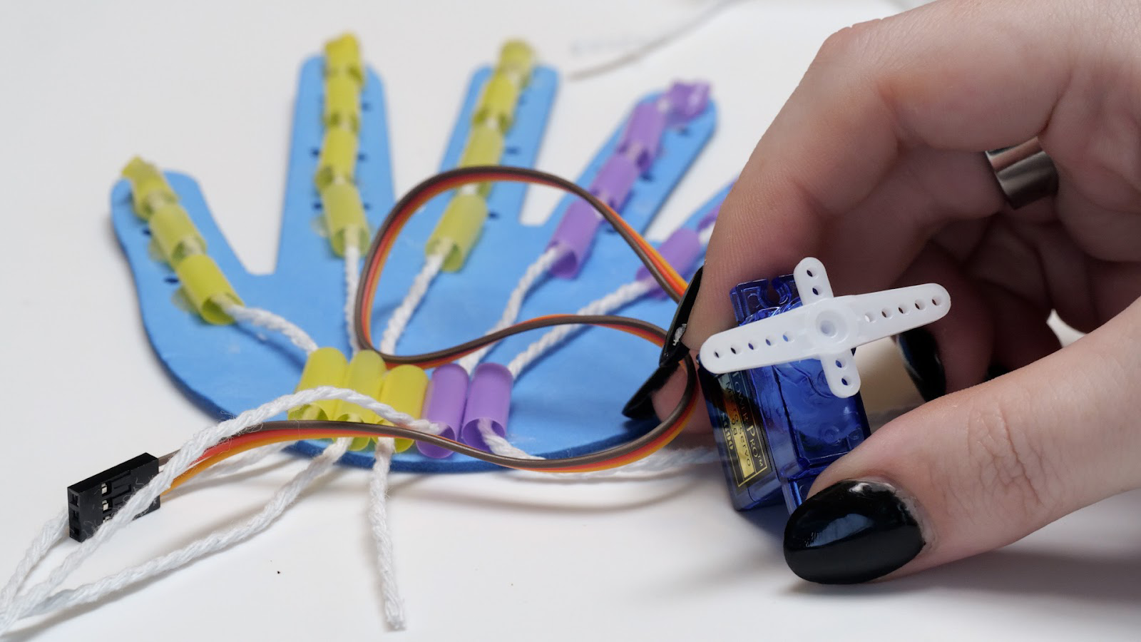 DIY Neuroscience With Spiker:bit : 6 Steps (with Pictures) - Instructables