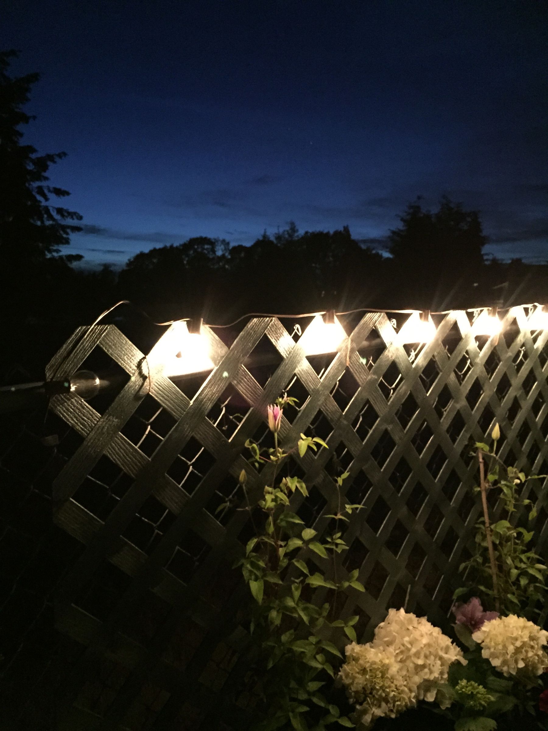 Secret Garden : 9 Steps (with Pictures) - Instructables