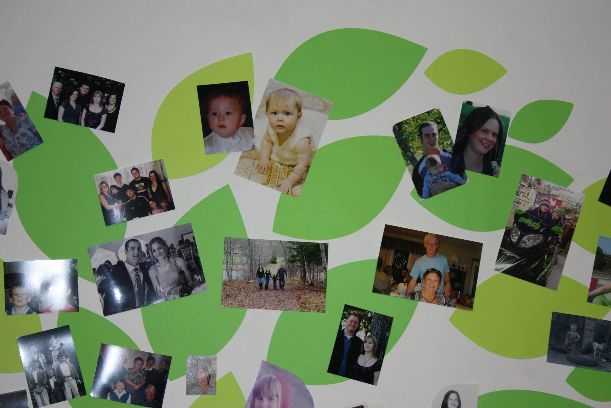 Paper Family Tree : 4 Steps - Instructables