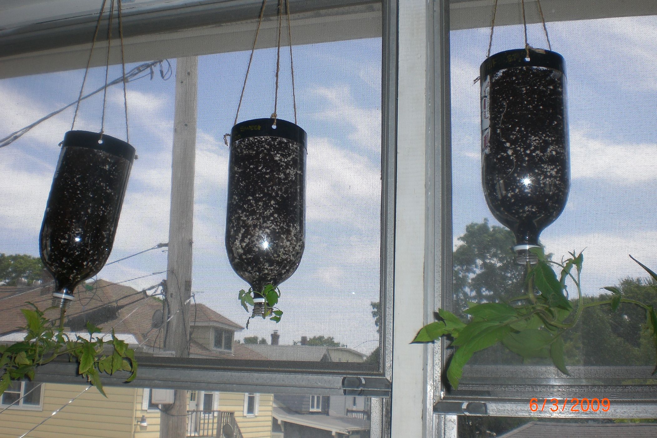 Slow Soaking Hanging Soda Bottle Planter : 8 Steps - Instructables