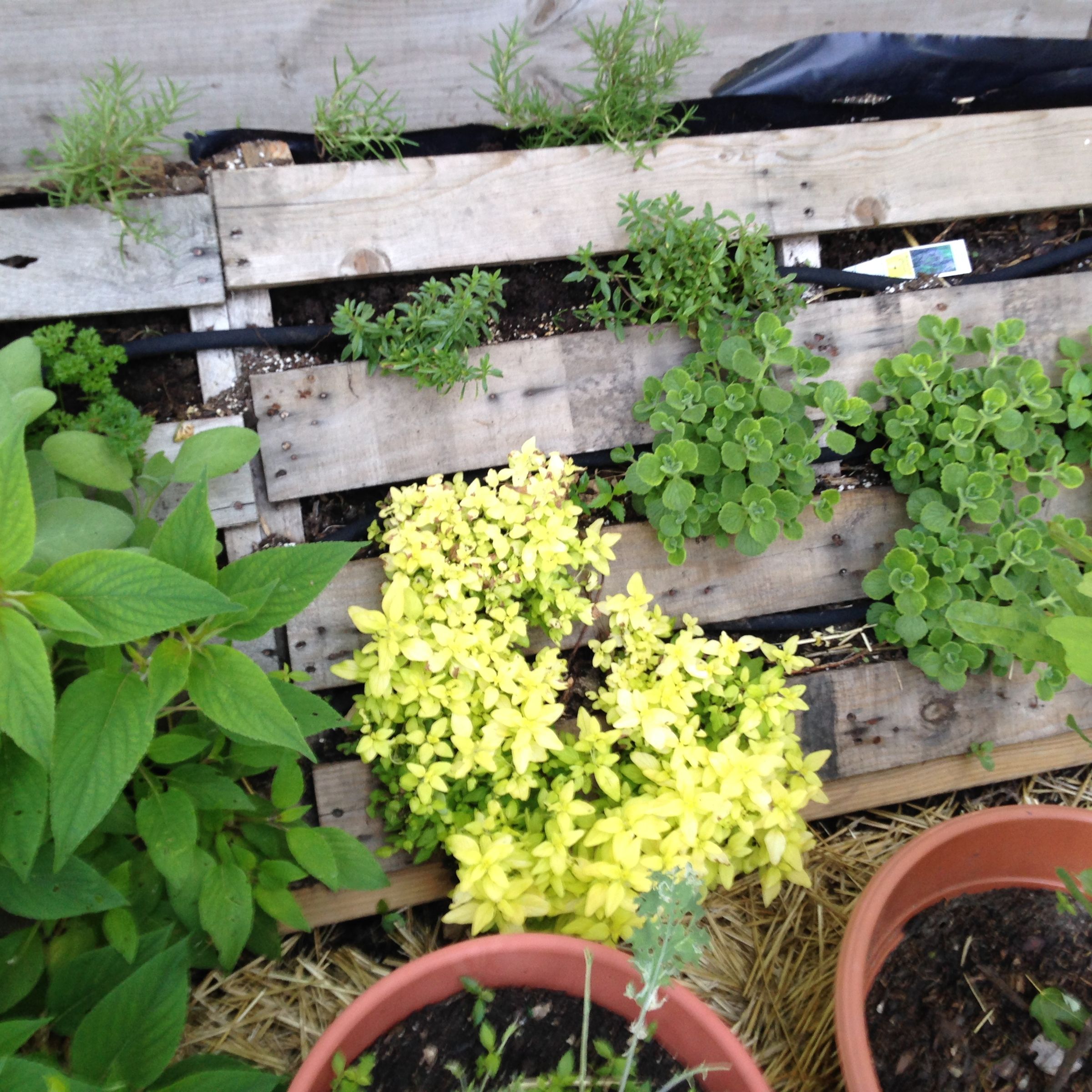 Outdoor Pallet Garden : 10 Steps (with Pictures) - Instructables