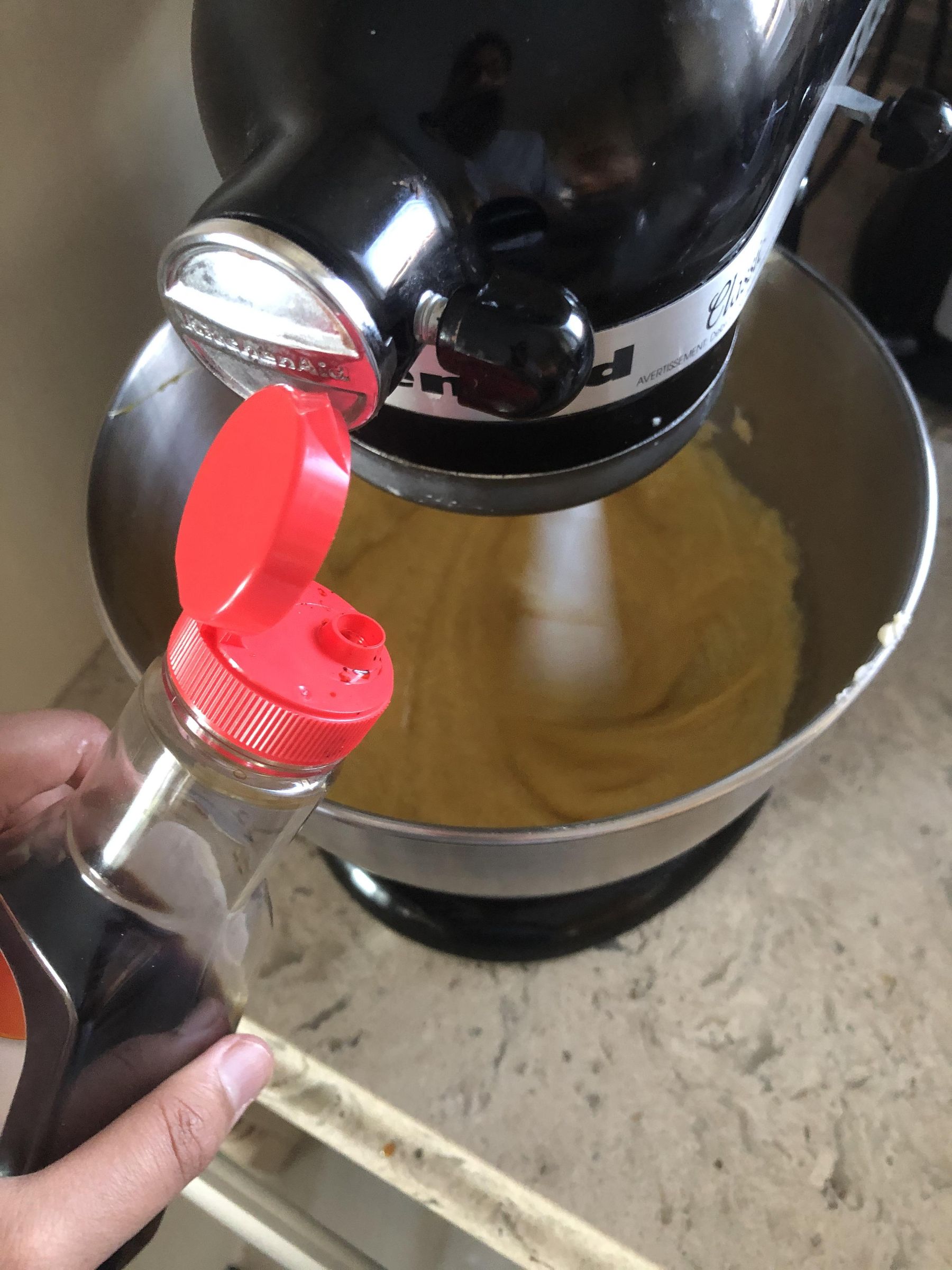 HOW TO MAKE 100% EDIBLE CAKE BASED CANDY PLANT CELL! : 6 Steps ...