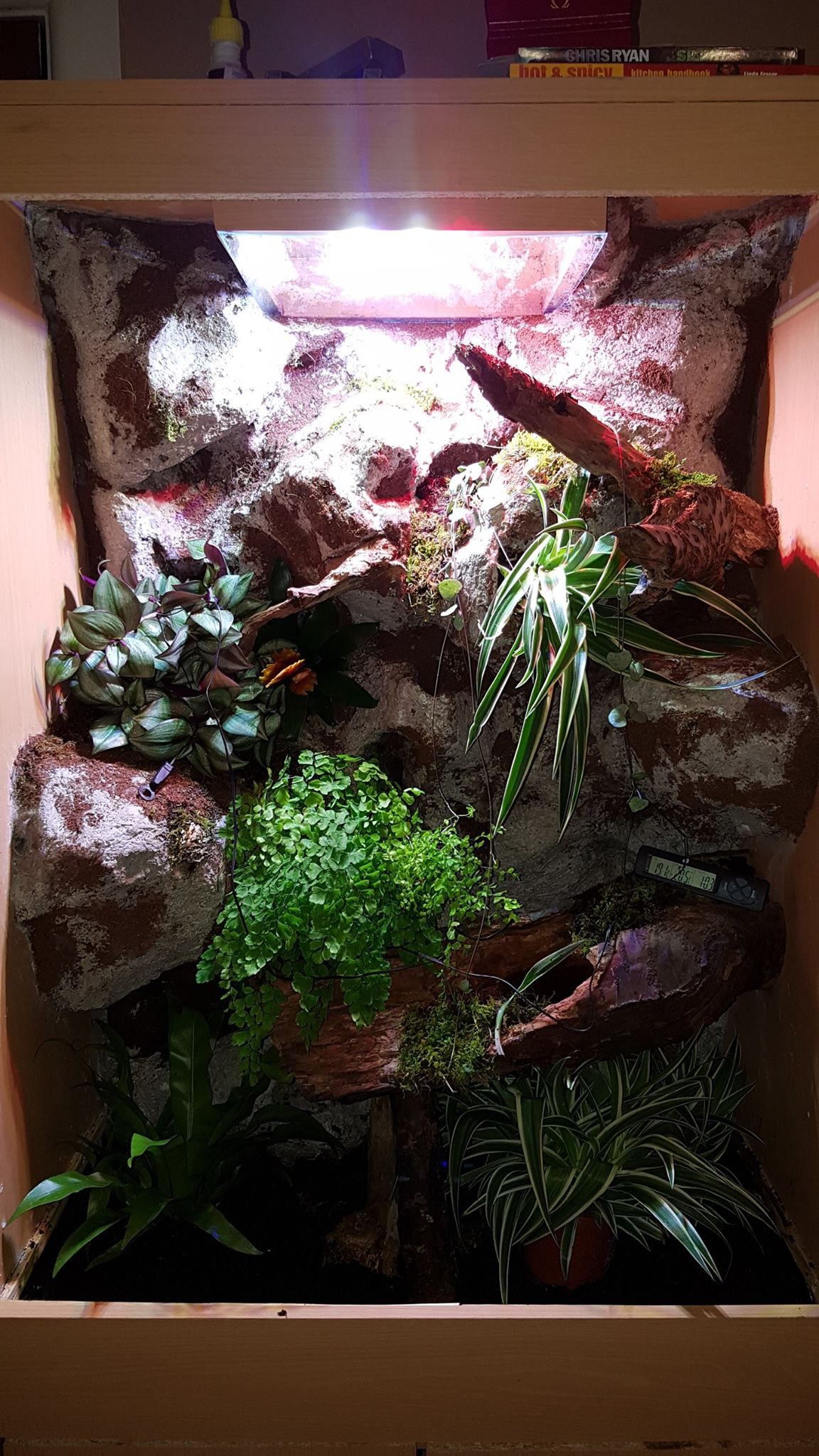 Convert Old Cupboard Into Amazing Vivarium : 4 Steps (with Pictures ...