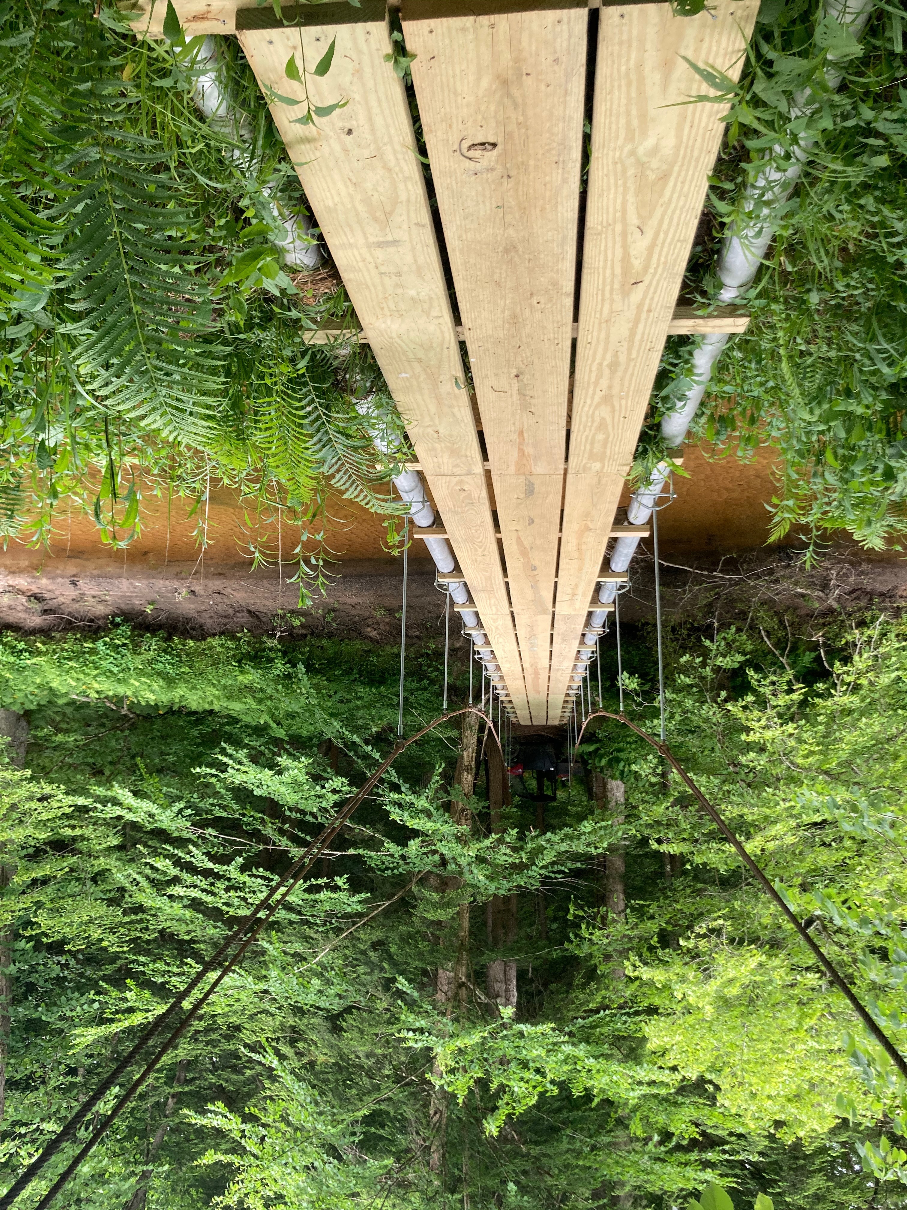 Building a Small Cable Suspension Bridge - the Basics Plus a Video Demo ...