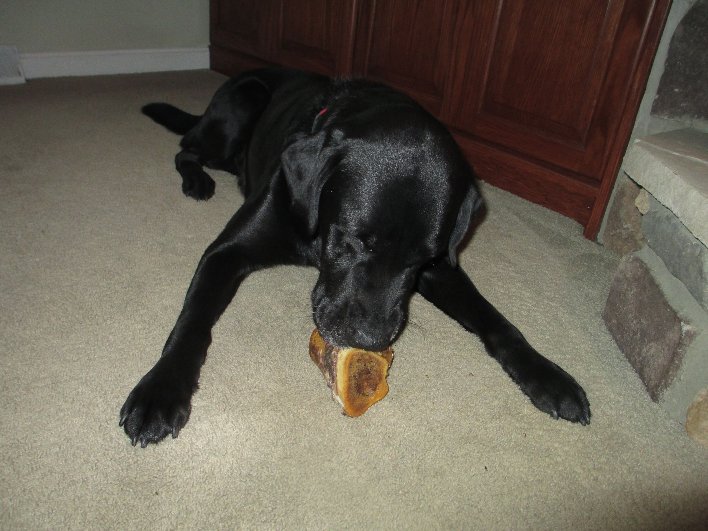 SMOKED BONES for DOGS : 8 Steps - Instructables