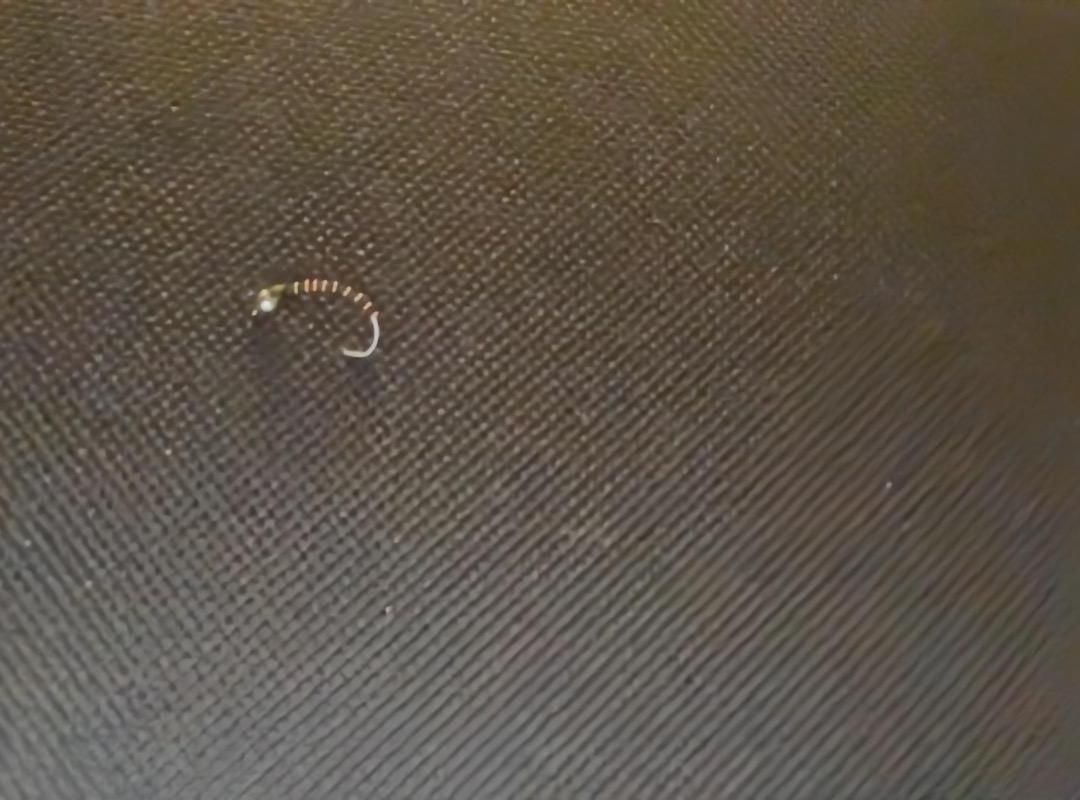 Zebra Midge : 4 Steps - Instructables