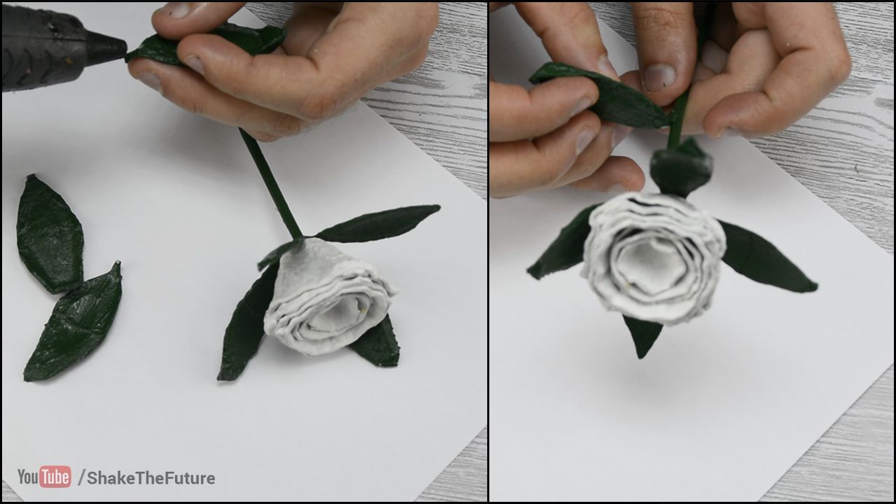 The Color Changing Rose : 9 Steps (with Pictures) - Instructables