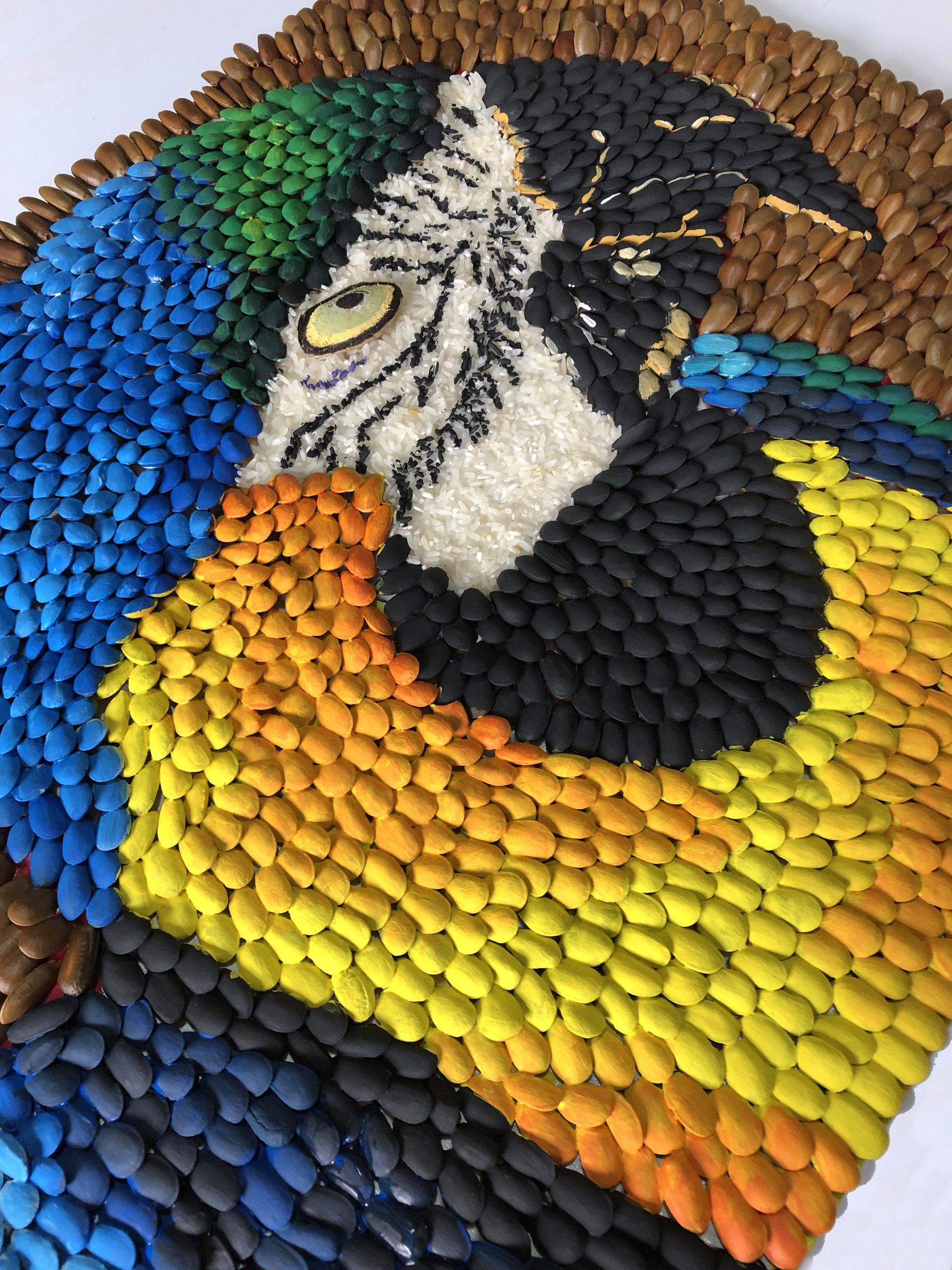 Macaw With Soursop Seeds, Rice and Mango. : 12 Steps (with Pictures ...