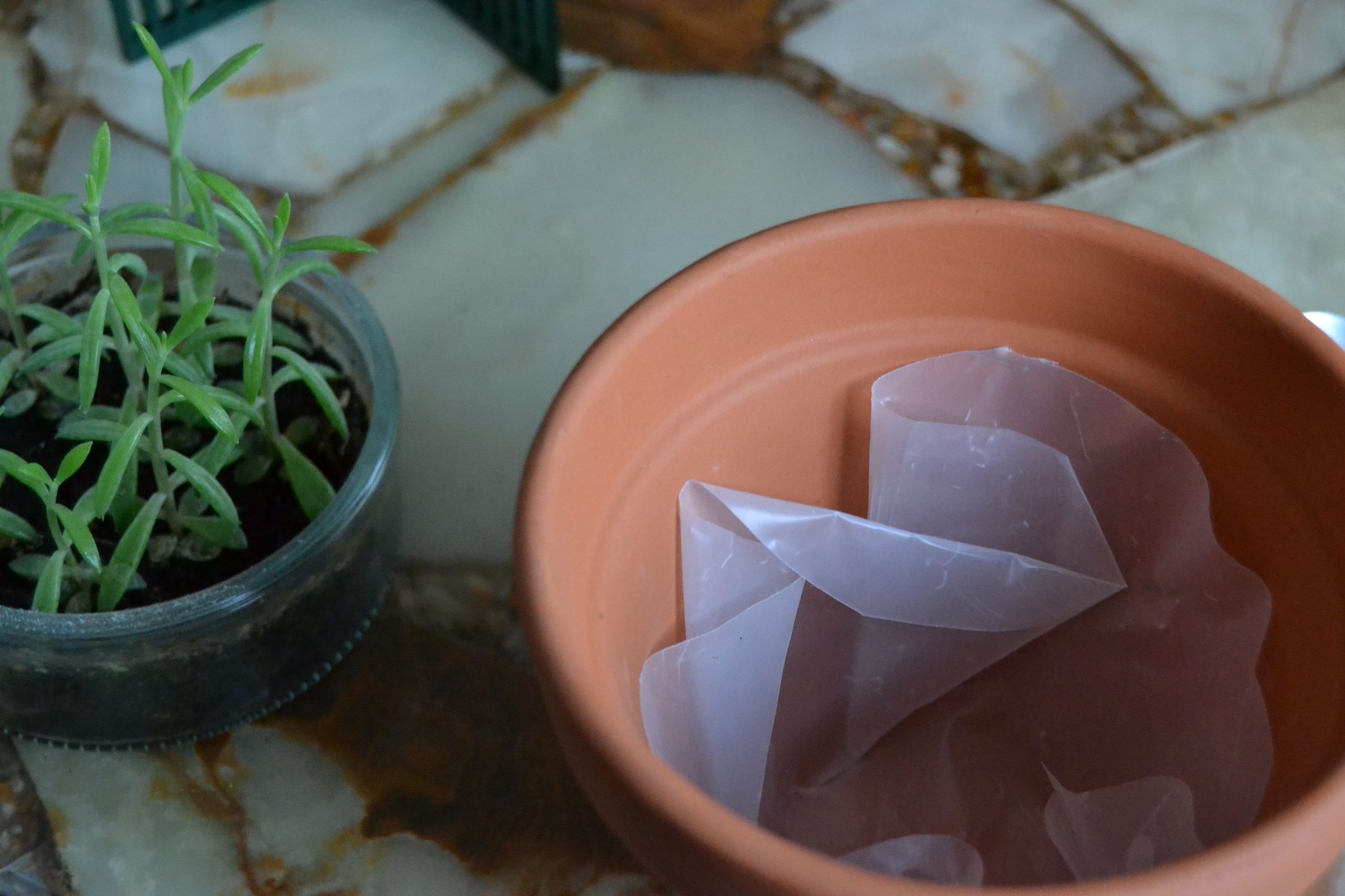 Laser Cut Planters : 7 Steps (with Pictures) - Instructables
