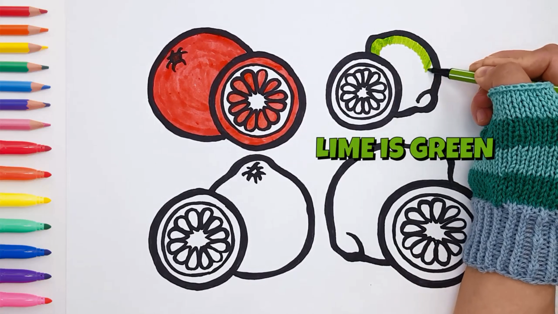Let's Draw and Color Citrus Fruits With Cross Sections : 4 Steps ...