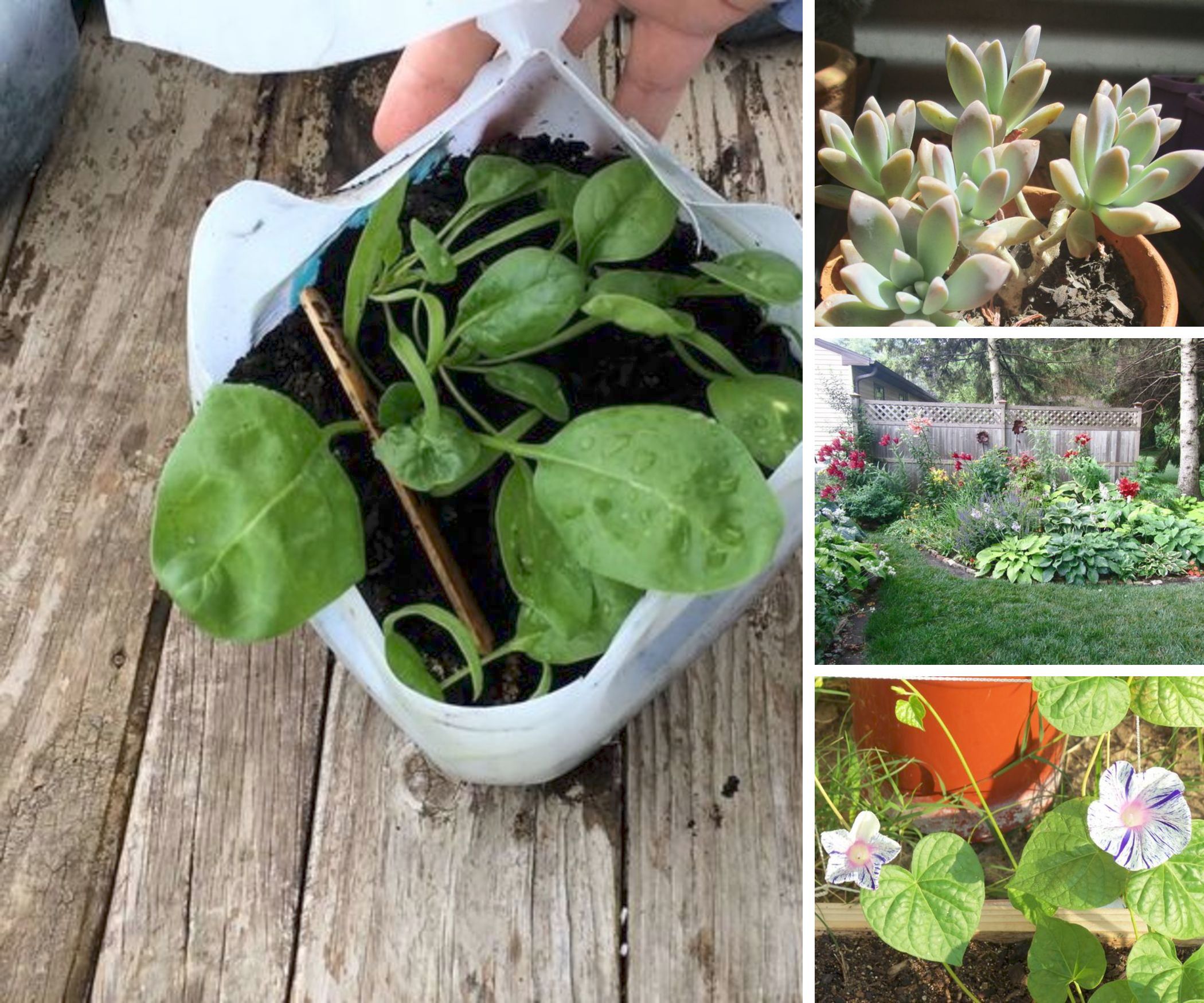 Gardening - Instructables