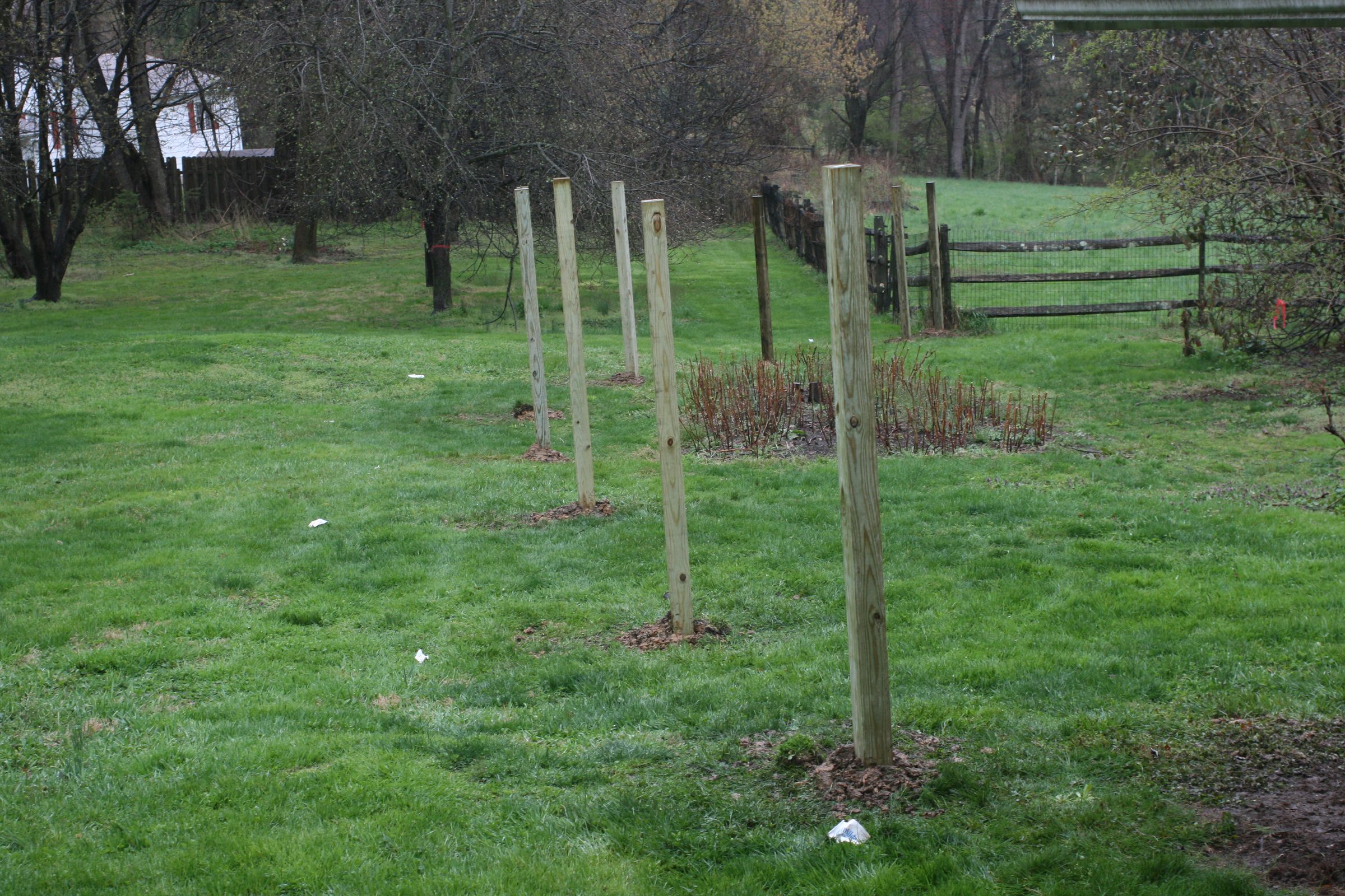Domestically Sustainable Agriculture - Construction, Planting, and ...