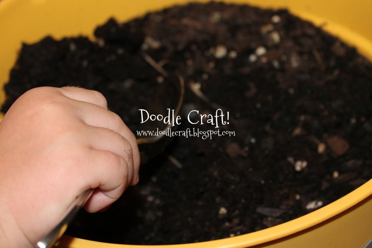 Haircut Chia Pet Grass Heads! Great for Summer Break! : 5 Steps (with ...