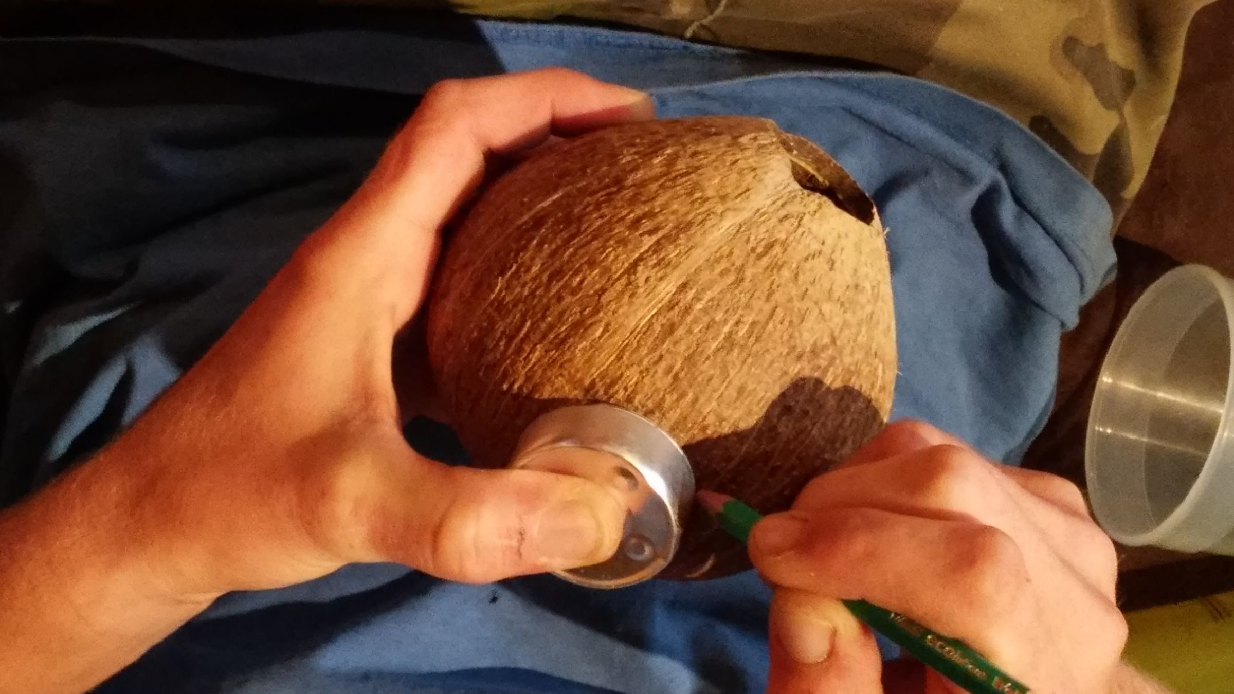 Coconut Lamp : 5 Steps (with Pictures) - Instructables