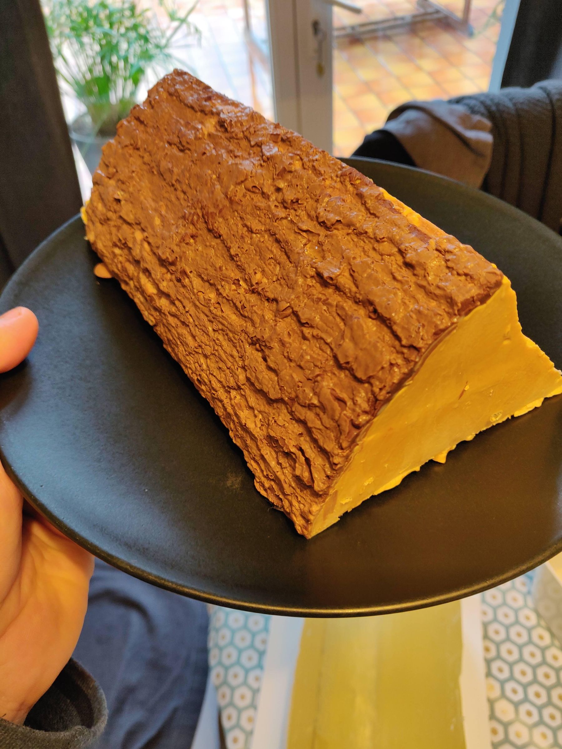 Realistic Chocolate Wood Log : 6 Steps (with Pictures) - Instructables