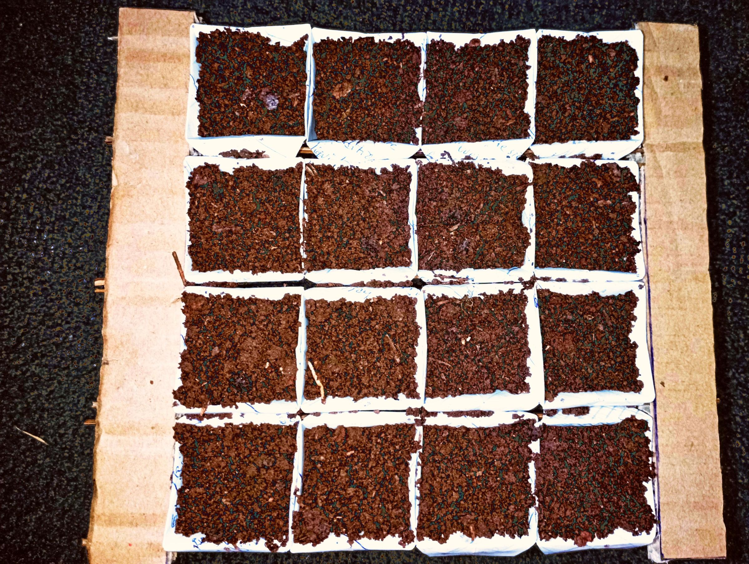 Origami: Paper Seedling Tray. : 10 Steps (with Pictures) - Instructables