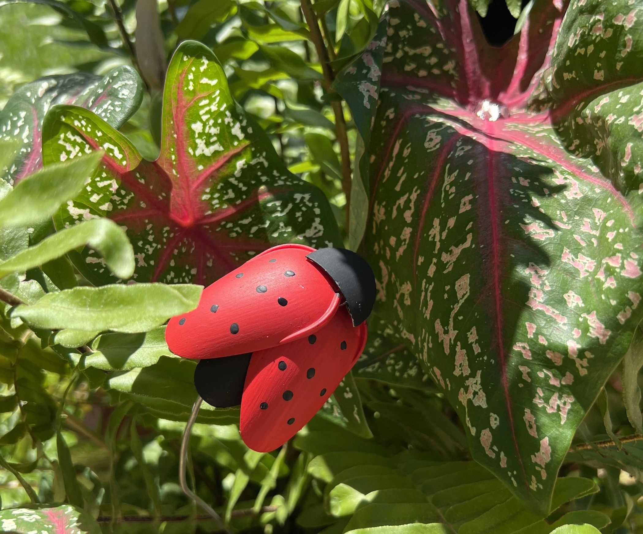 Ladybug for the Garden : 4 Steps - Instructables