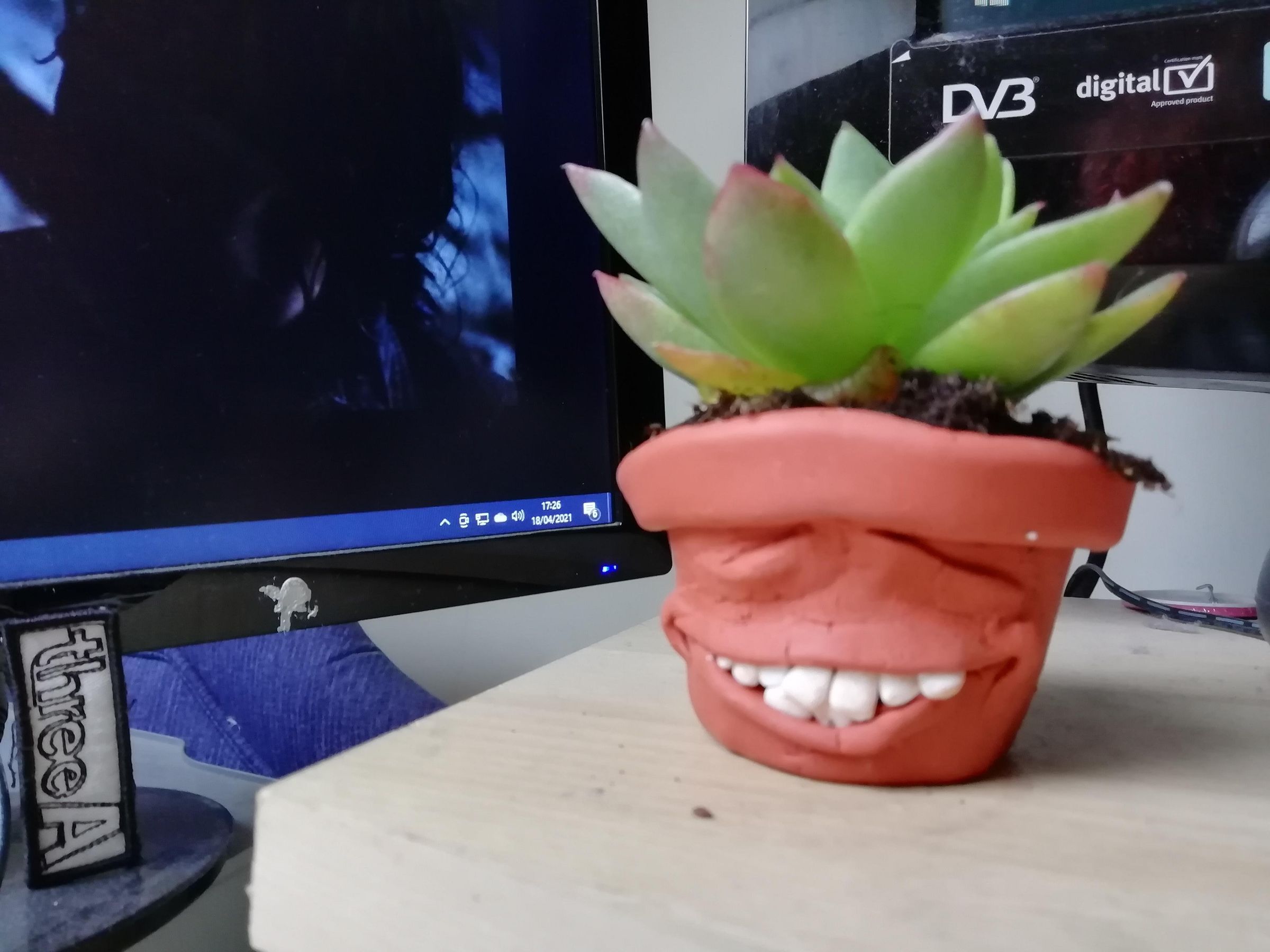 Happy Plant Pots : 4 Steps (with Pictures) - Instructables