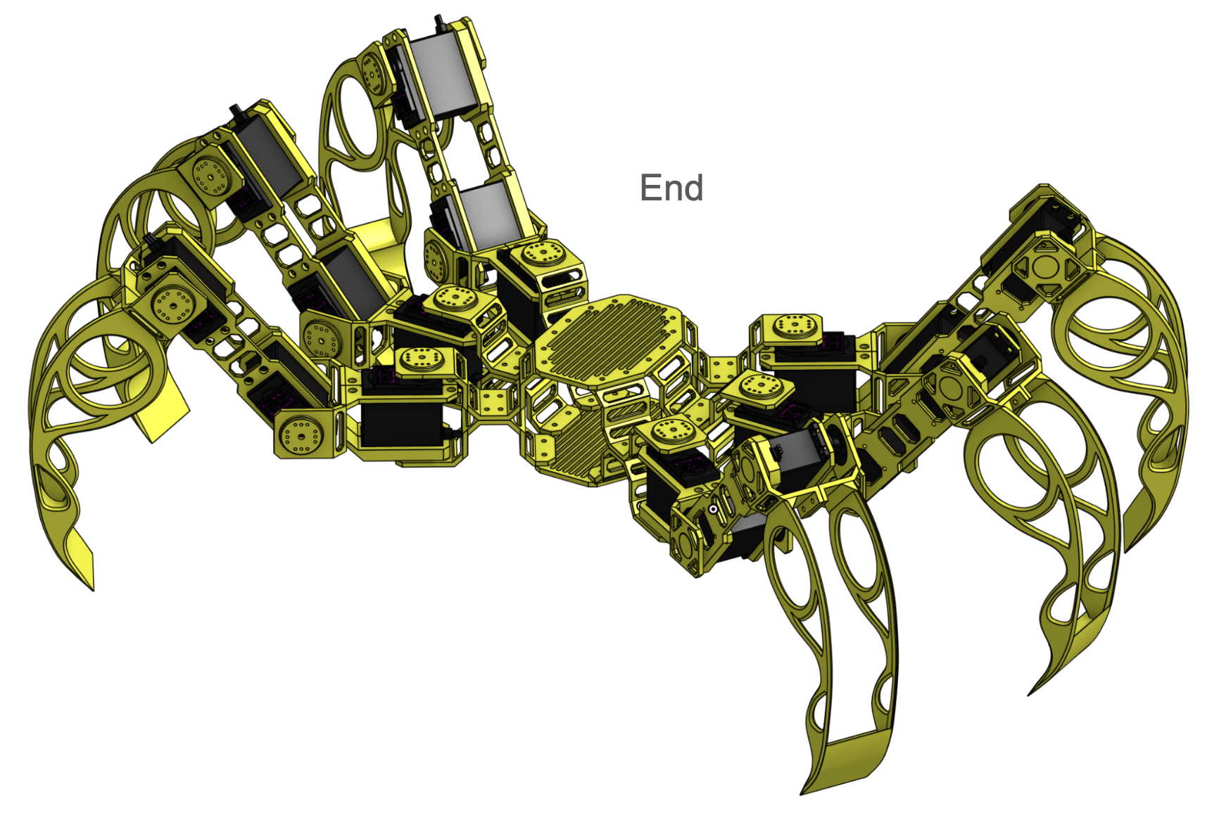 How to Make a Hexapod (Robot Spider)! : 9 Steps - Instructables