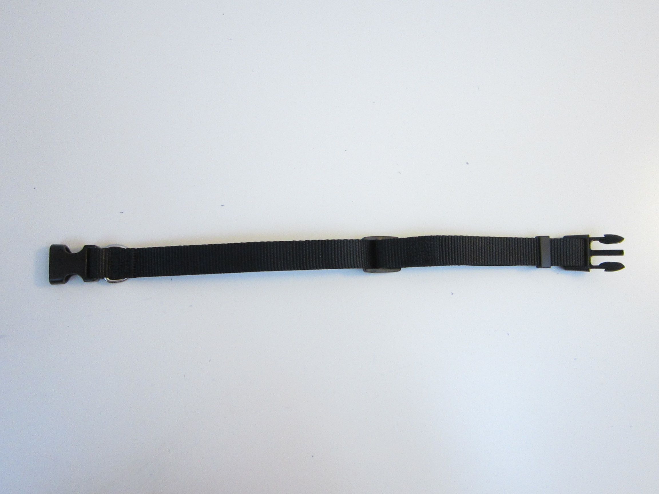 Upgrade a Dog Collar : 6 Steps (with Pictures) - Instructables