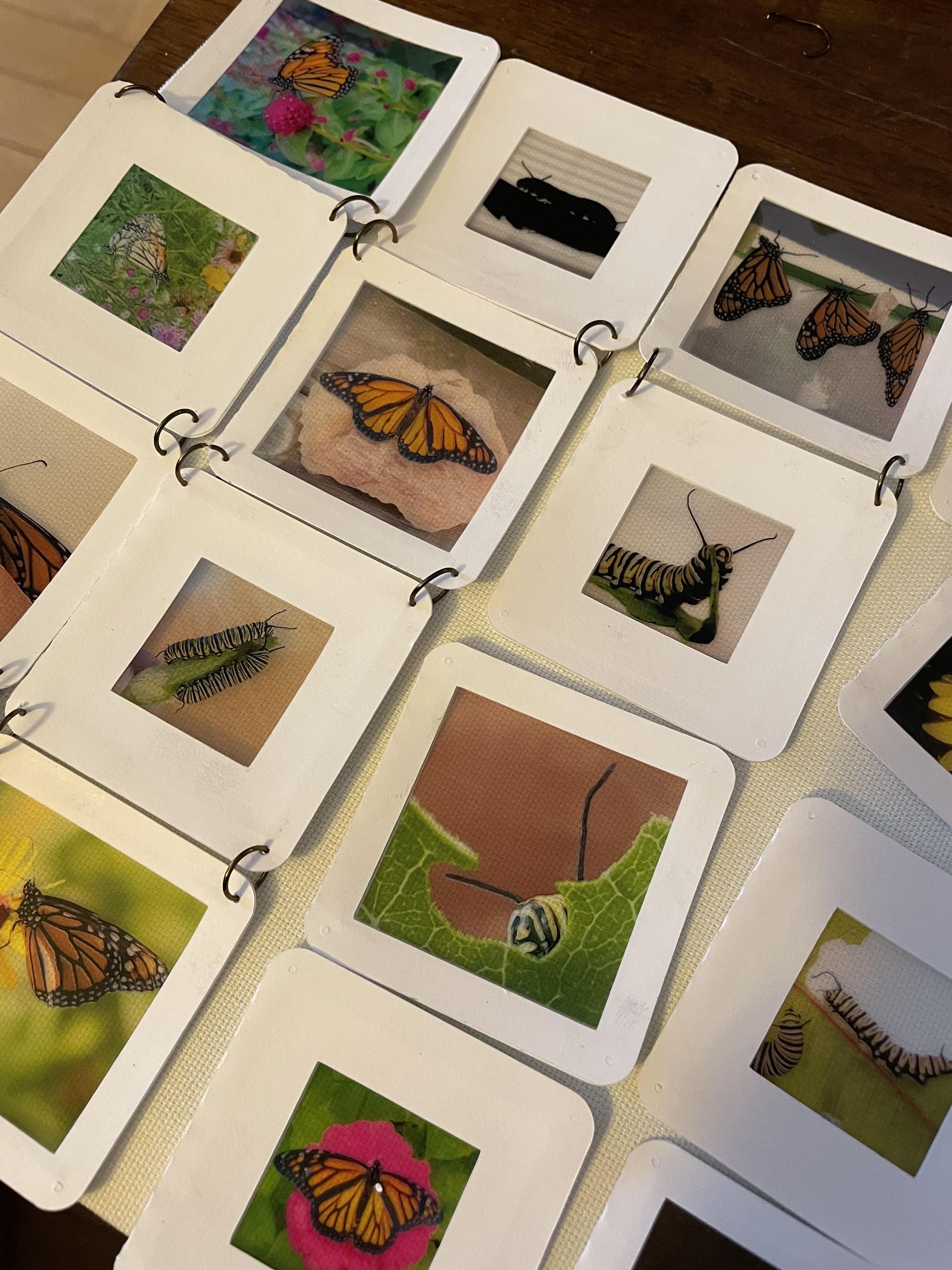 Vintage Camera Lamp With DIY 35mm Slide Shade : 14 Steps (with Pictures ...