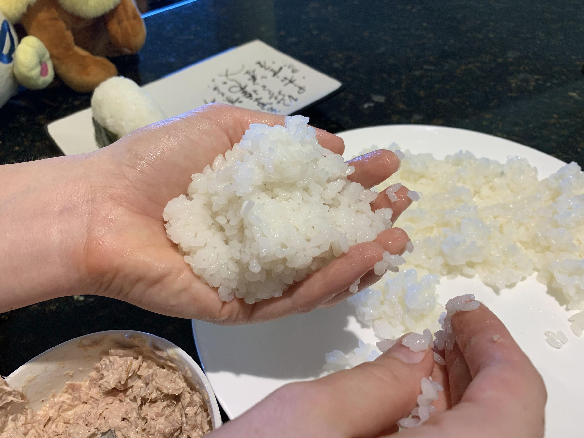 Brock's Onigiri (Rice Balls) From Pokemon : 5 Steps (with Pictures ...