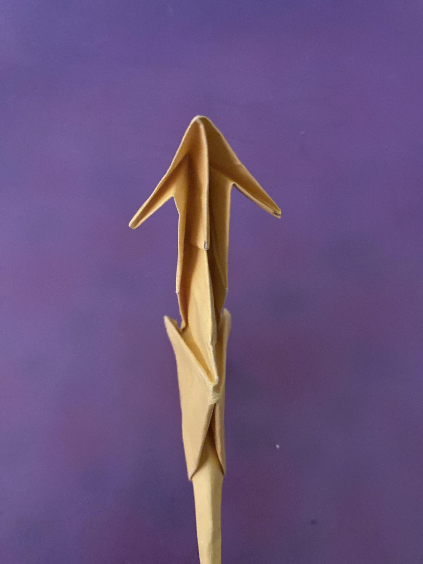 Origami Rat : 27 Steps - Instructables