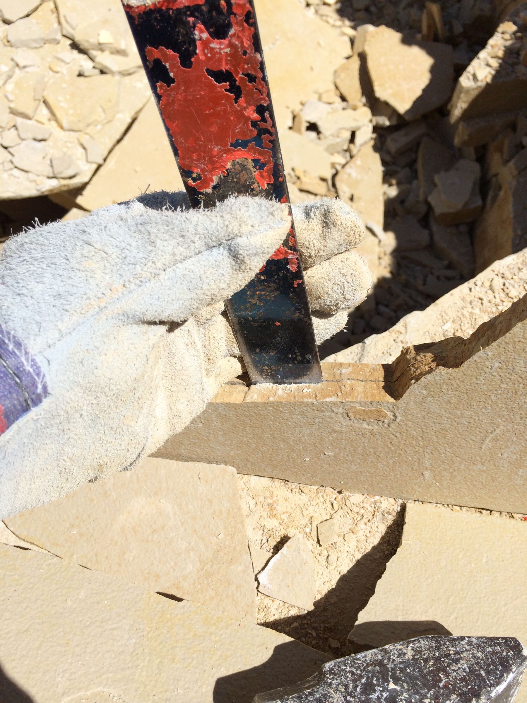 Split Limestone to Find Fossils!! : 4 Steps (with Pictures) - Instructables