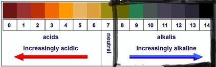 Alkaline Experiment : 3 Steps - Instructables