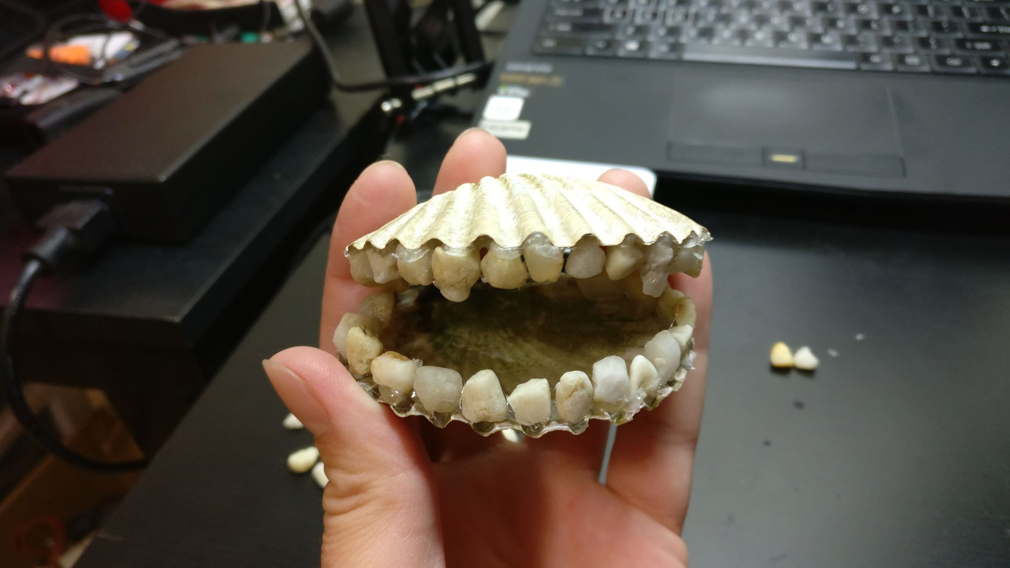 Toothy Shell Mouths : 4 Steps - Instructables