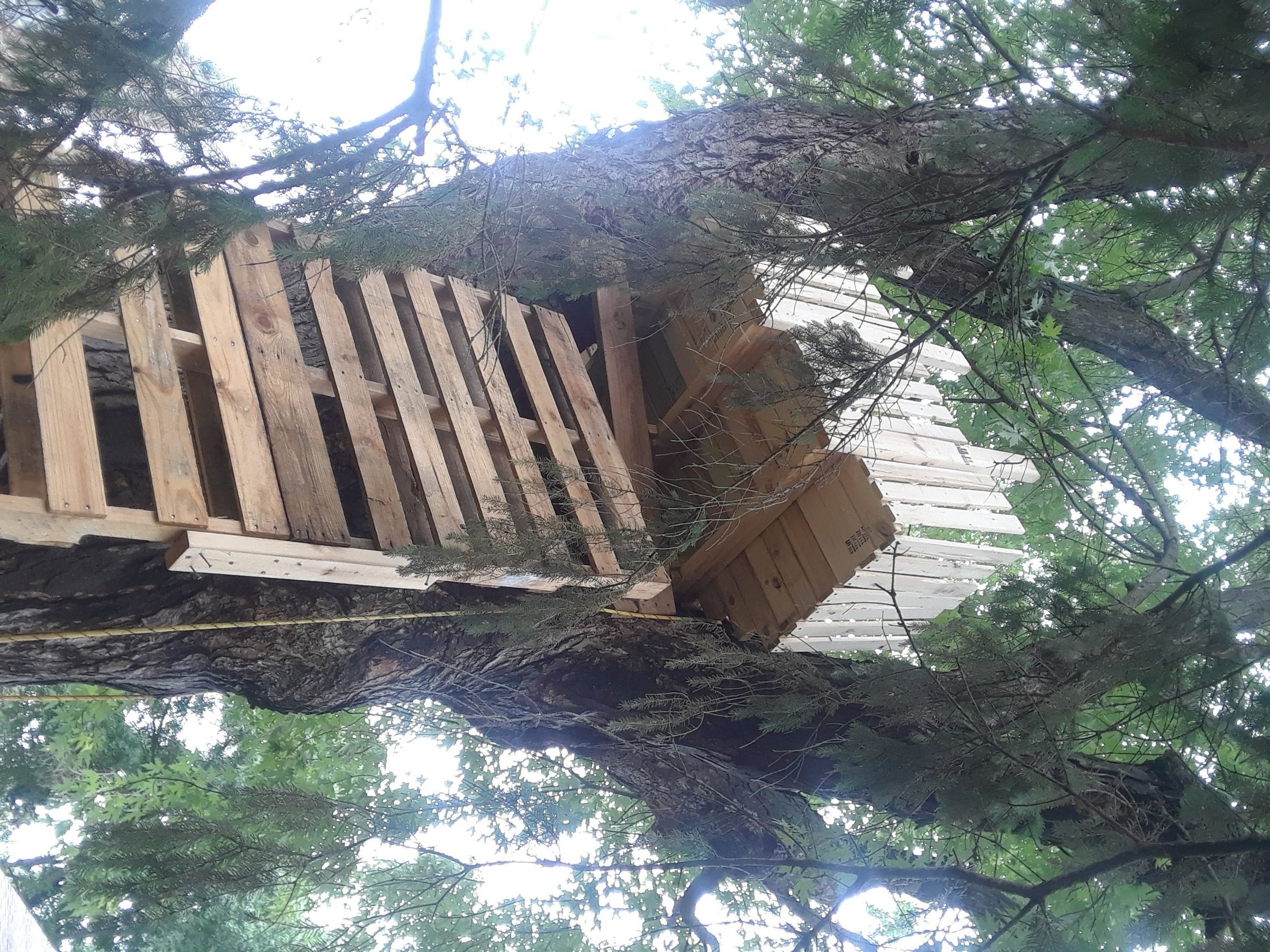 Tree House With Bench and Pulley System : 11 Steps - Instructables