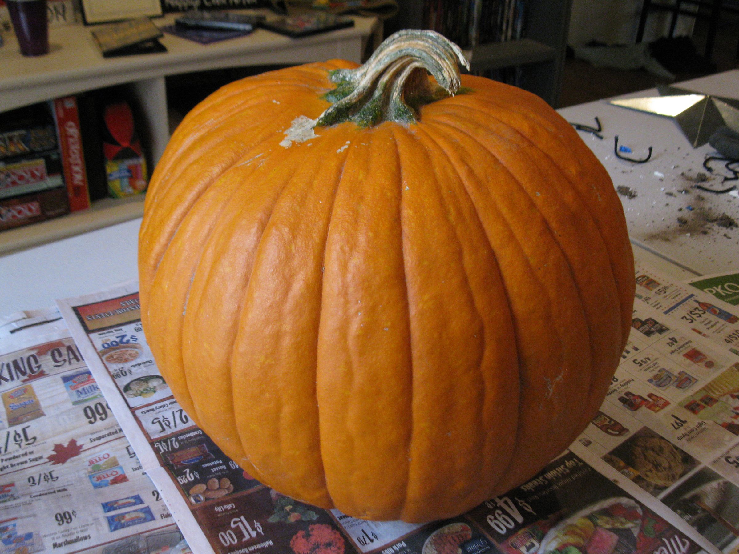 Anatomy of a Jack-O-Lantern : 3 Steps (with Pictures) - Instructables
